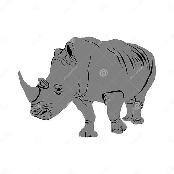 Vector Illustration of the Javan Rhinoceros Stock Vector - Illustration ...