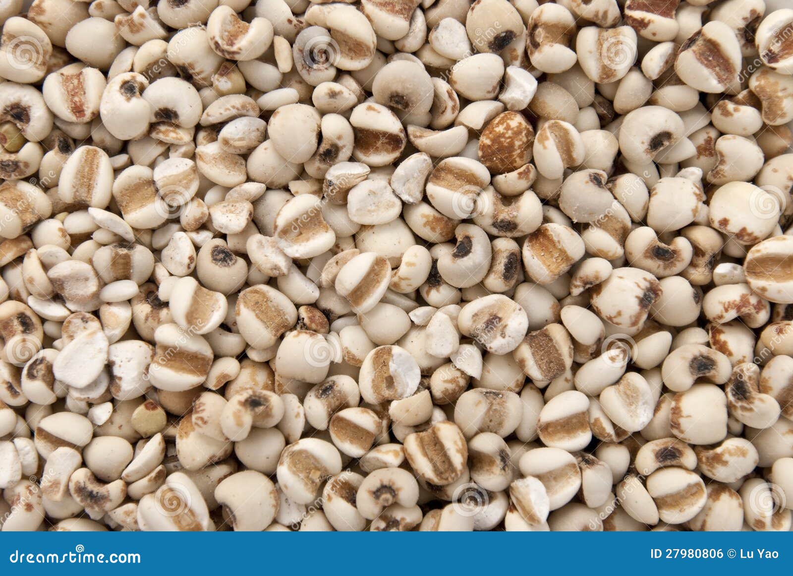 Myotonin stock photo. Image of china, asia, minerals - 27980806