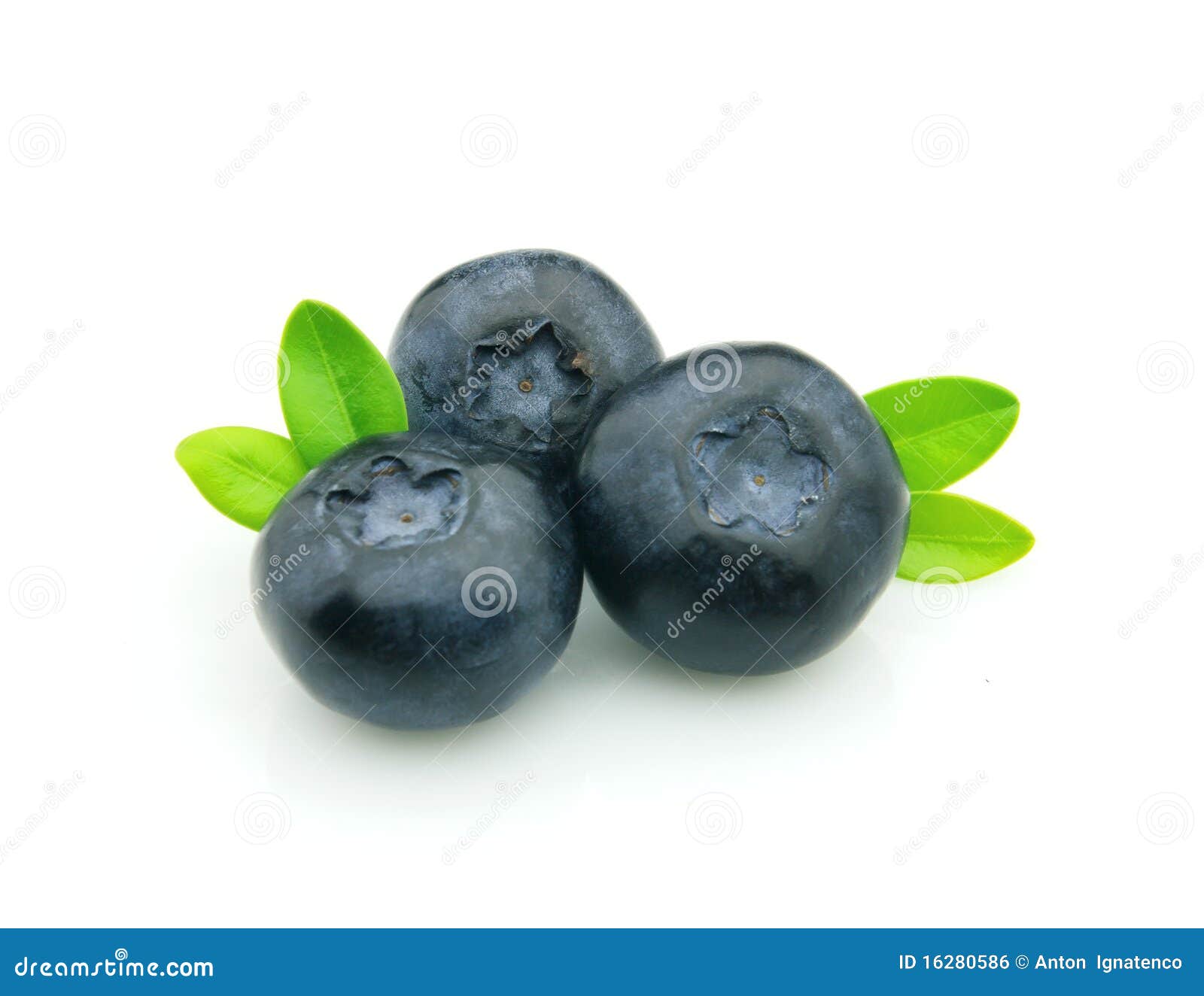 Myrtille photo stock. Image du centrale, myrtille, doux - 16280586