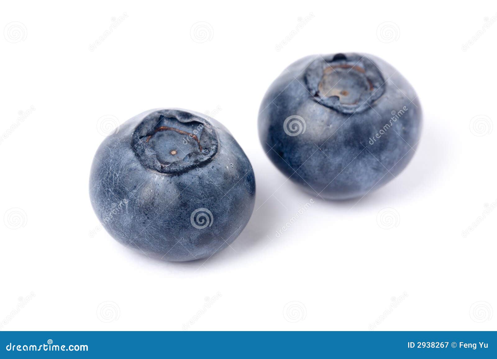 Myrtille image stock. Image du manger, frais, blanc, vivacité - 2938267