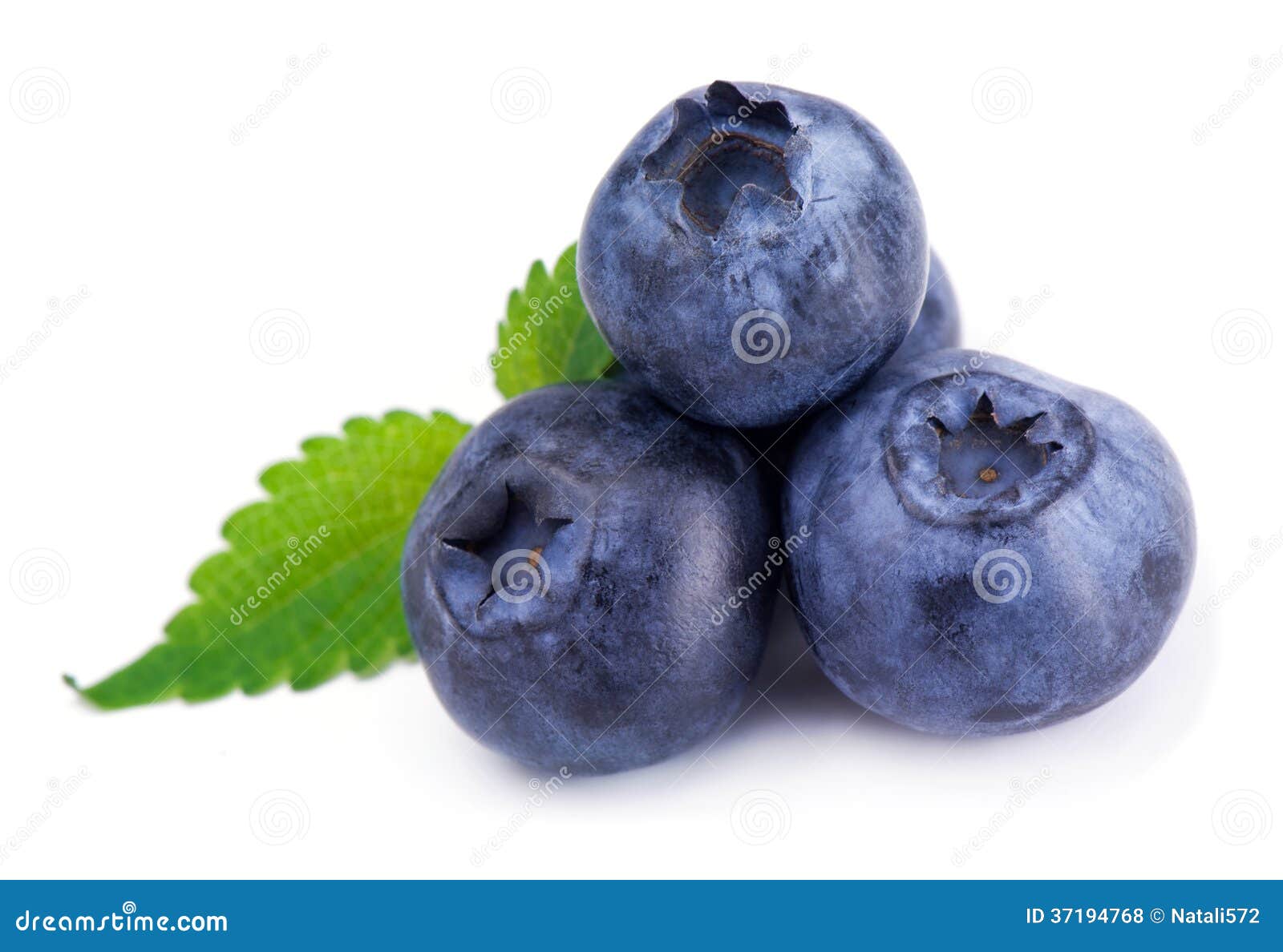 Myrtille photo stock. Image du nourriture, canneberge - 37194768