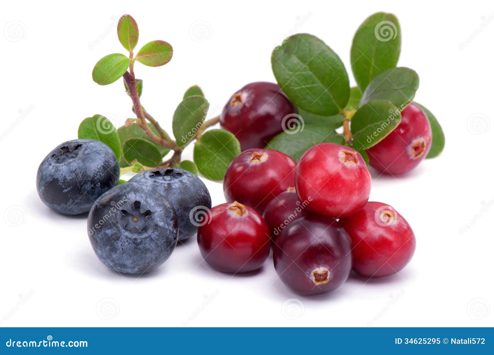 Myrtille et airelle rouge image stock. Image du mûr, mûre - 34625295