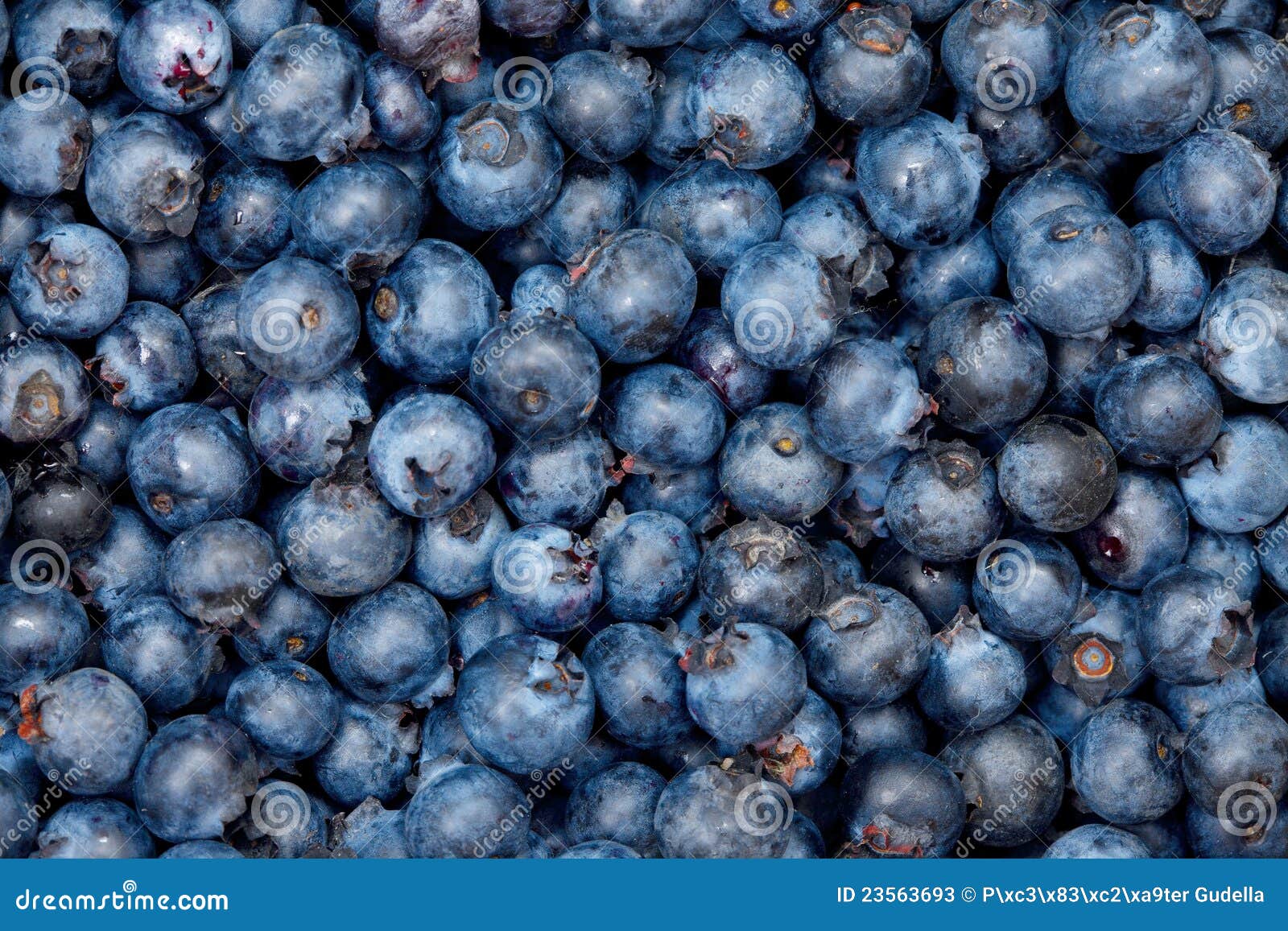 Myrtilles image stock. Image of panier, vitamine, détail - 23563693