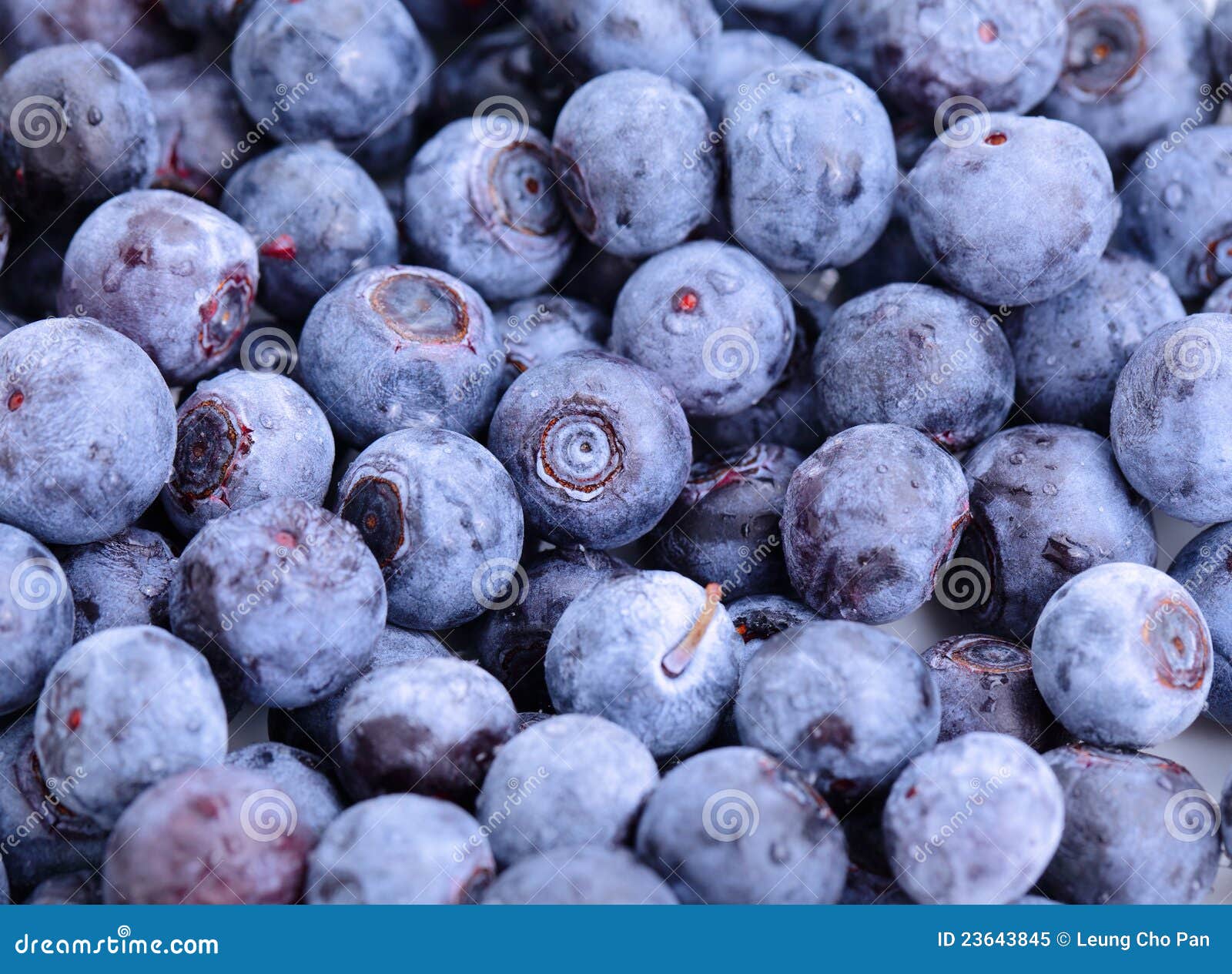 Myrtilles image stock. Image of manger, horticulture - 23643845