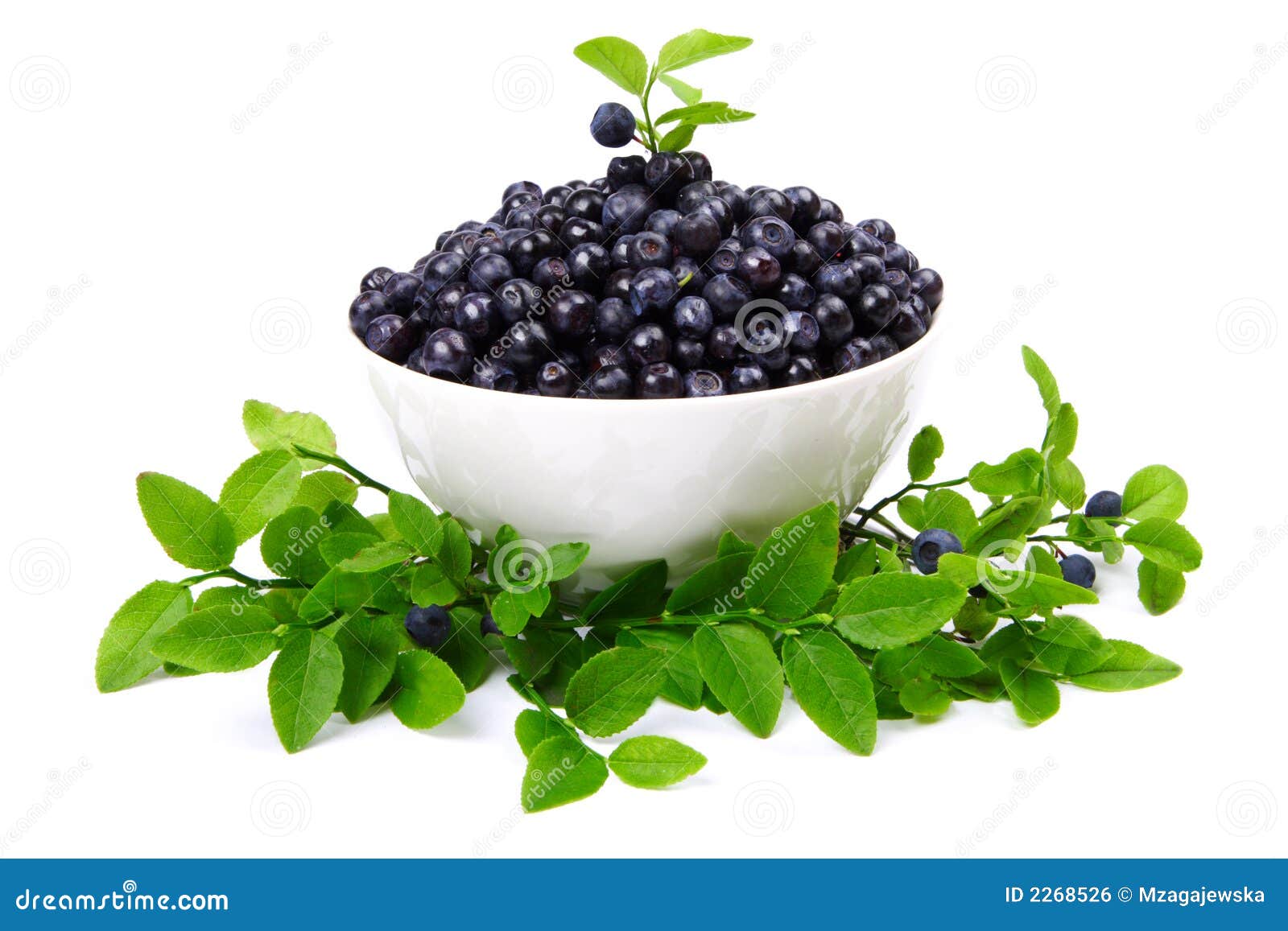 Myrtilles sauvages photo stock. Image du cuvette, fruits - 2268526