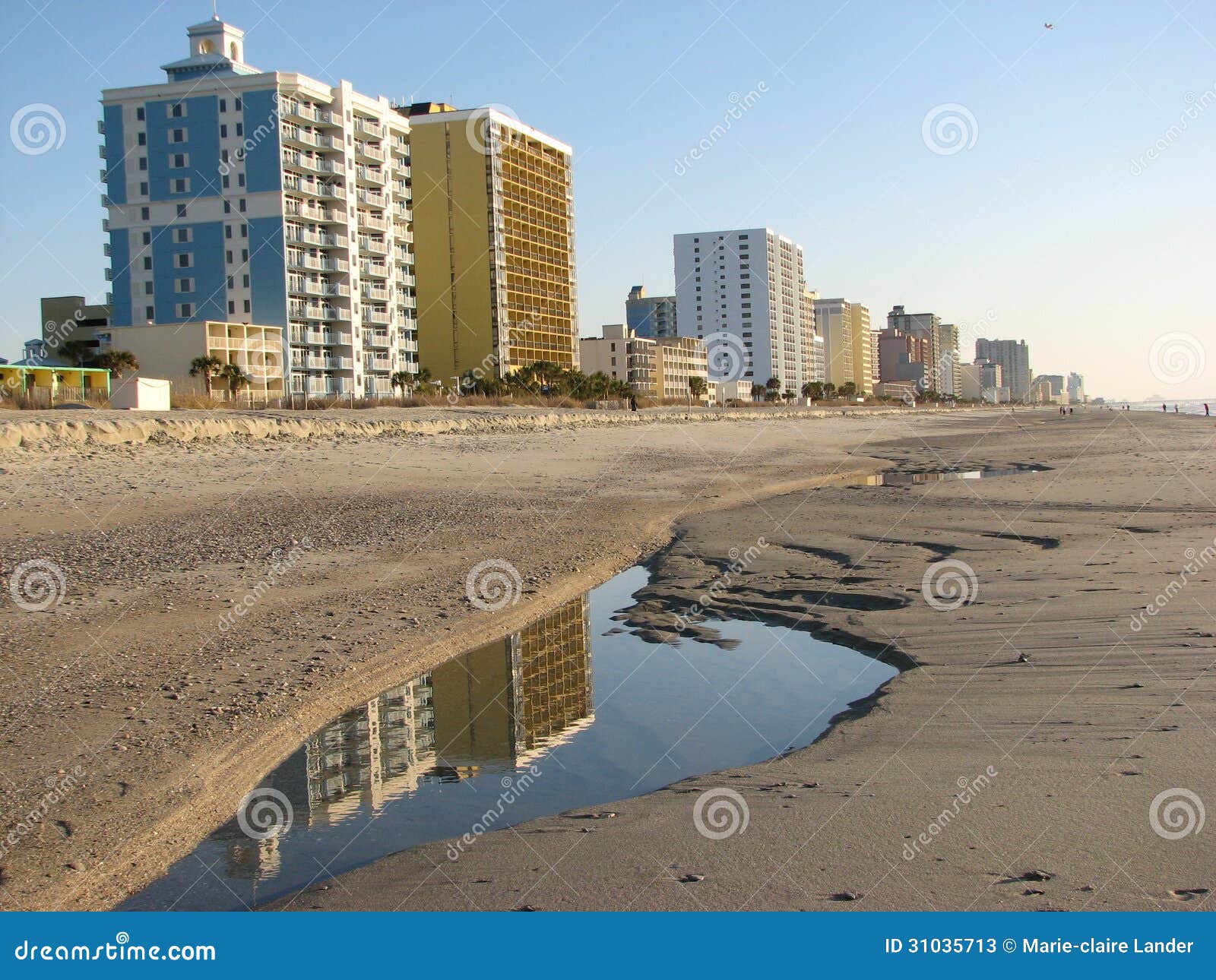 Myrtle Beach stock image. Image of spot, water, puddle - 31035713
