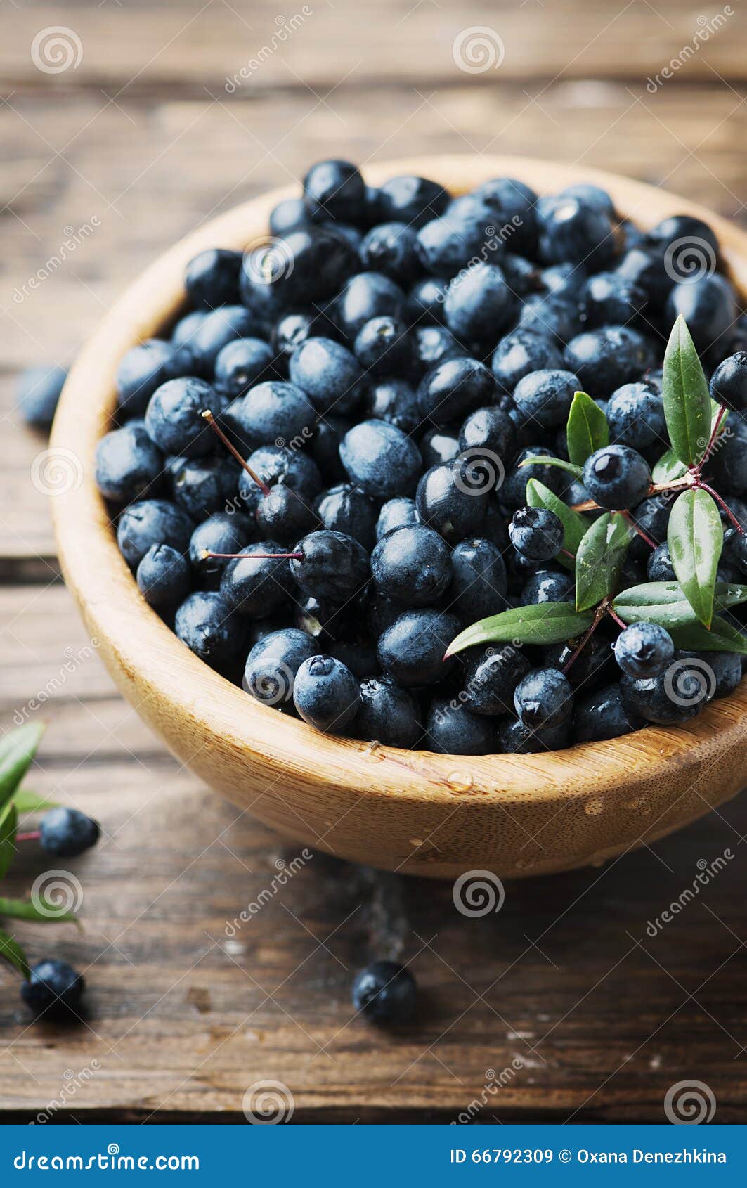 Myrtle Berry on the Wooden Table Stock Image - Image of ingredient ...