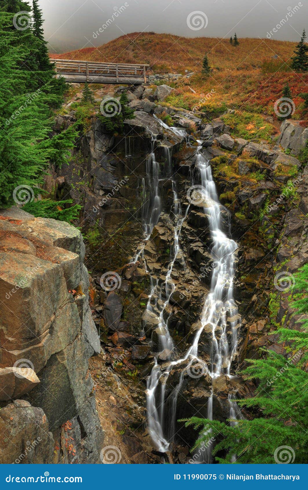 Myrtle falls in Autumn stock image. Image of country - 11990075