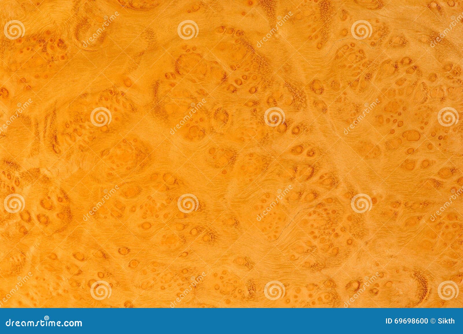 Root Texture Royalty-Free Stock Photo | CartoonDealer.com #43581243