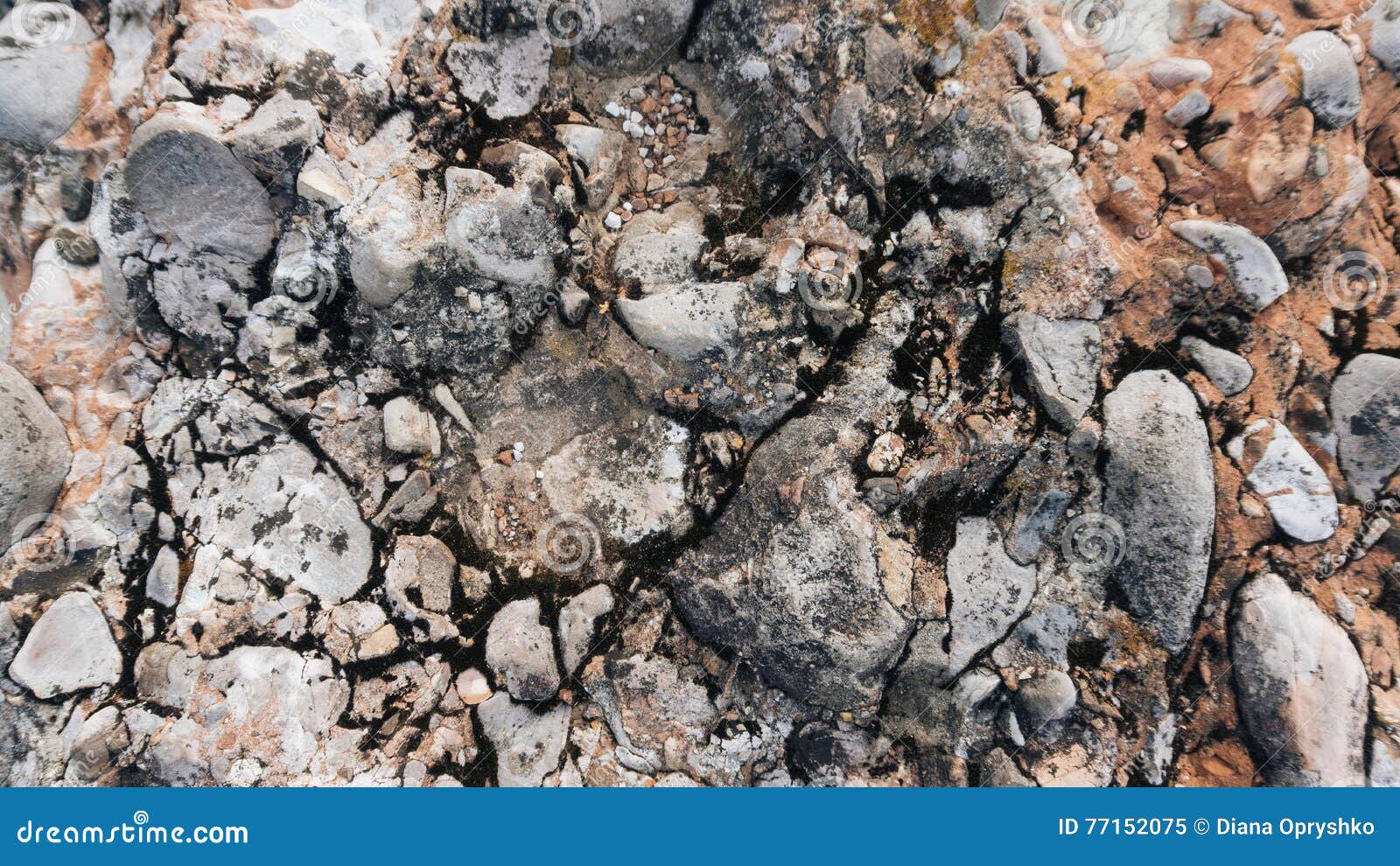 Myslachowice Conglomerate Stone Stock Image - Image of mineral ...