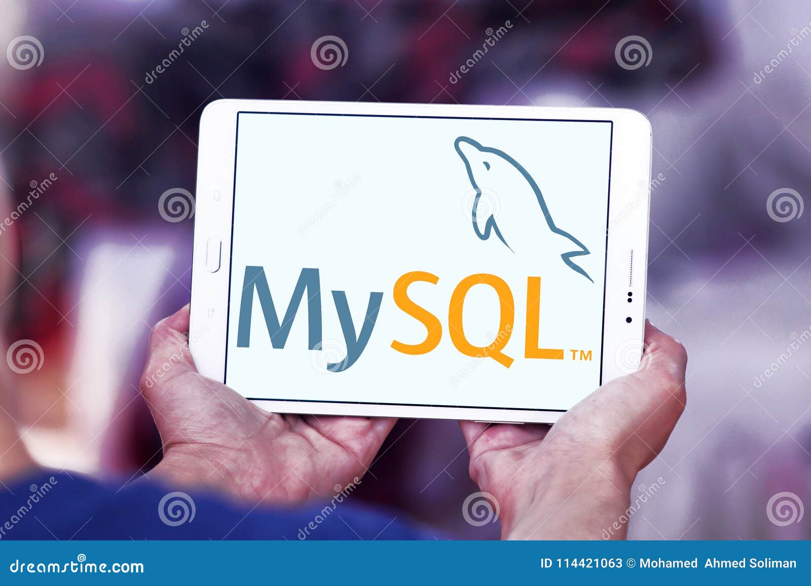 MySQL Open Source Web Application Logo Editorial Stock Photo - Image of ...