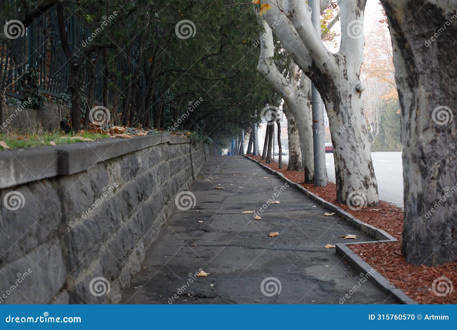 Mysterious Beautiful City Path with Trees Stock Photo - Image of autumn ...