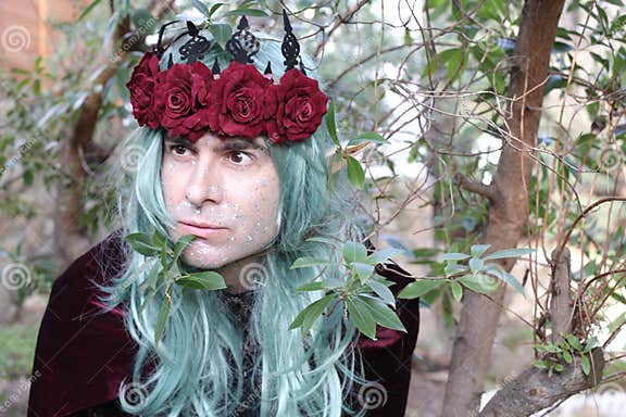 Mysterious Creature with Pointy Ears Stock Image - Image of fairytale ...