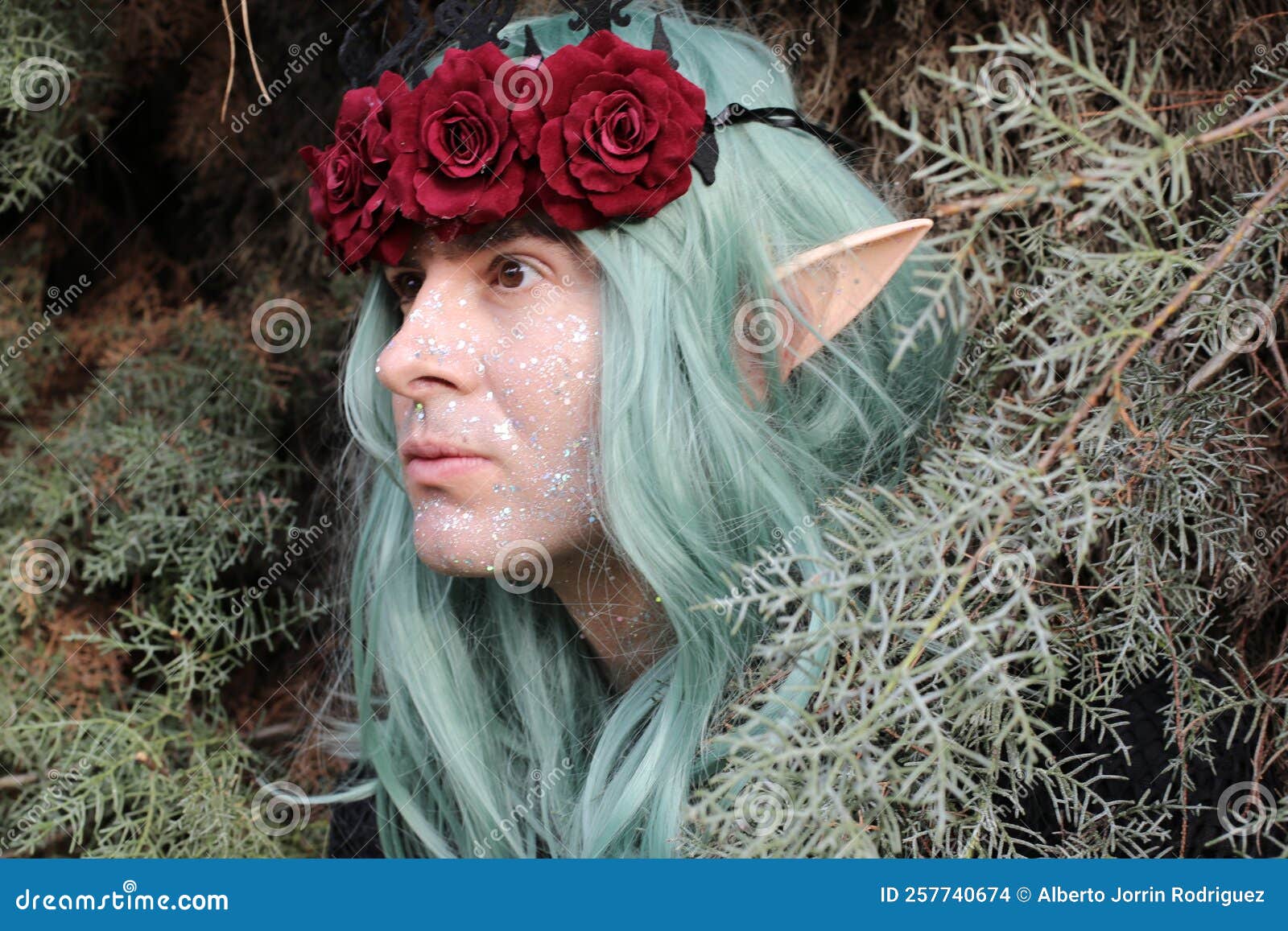 Mysterious Creature with Pointy Ears Stock Photo - Image of cute ...