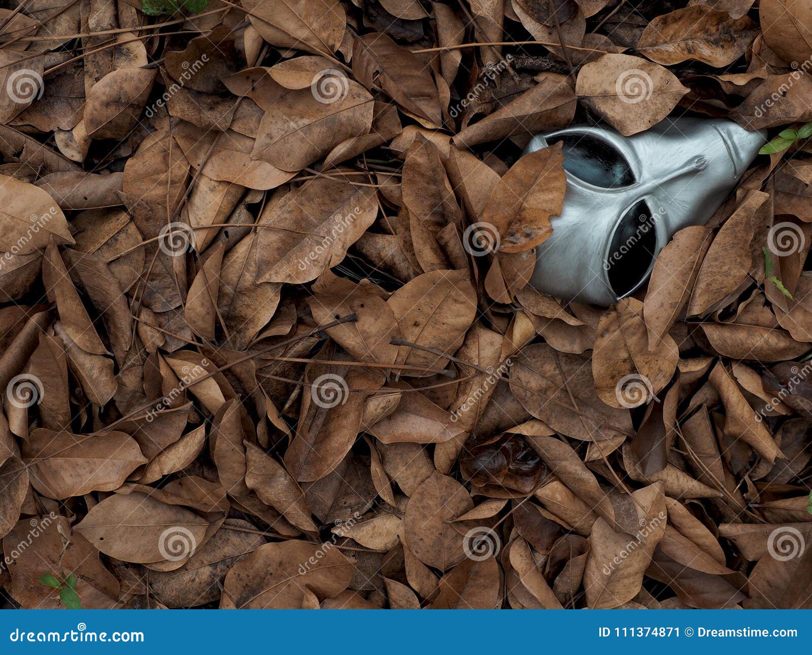 Ground Surface Path Made Out Pebbles And Stones Royalty-Free Stock ...