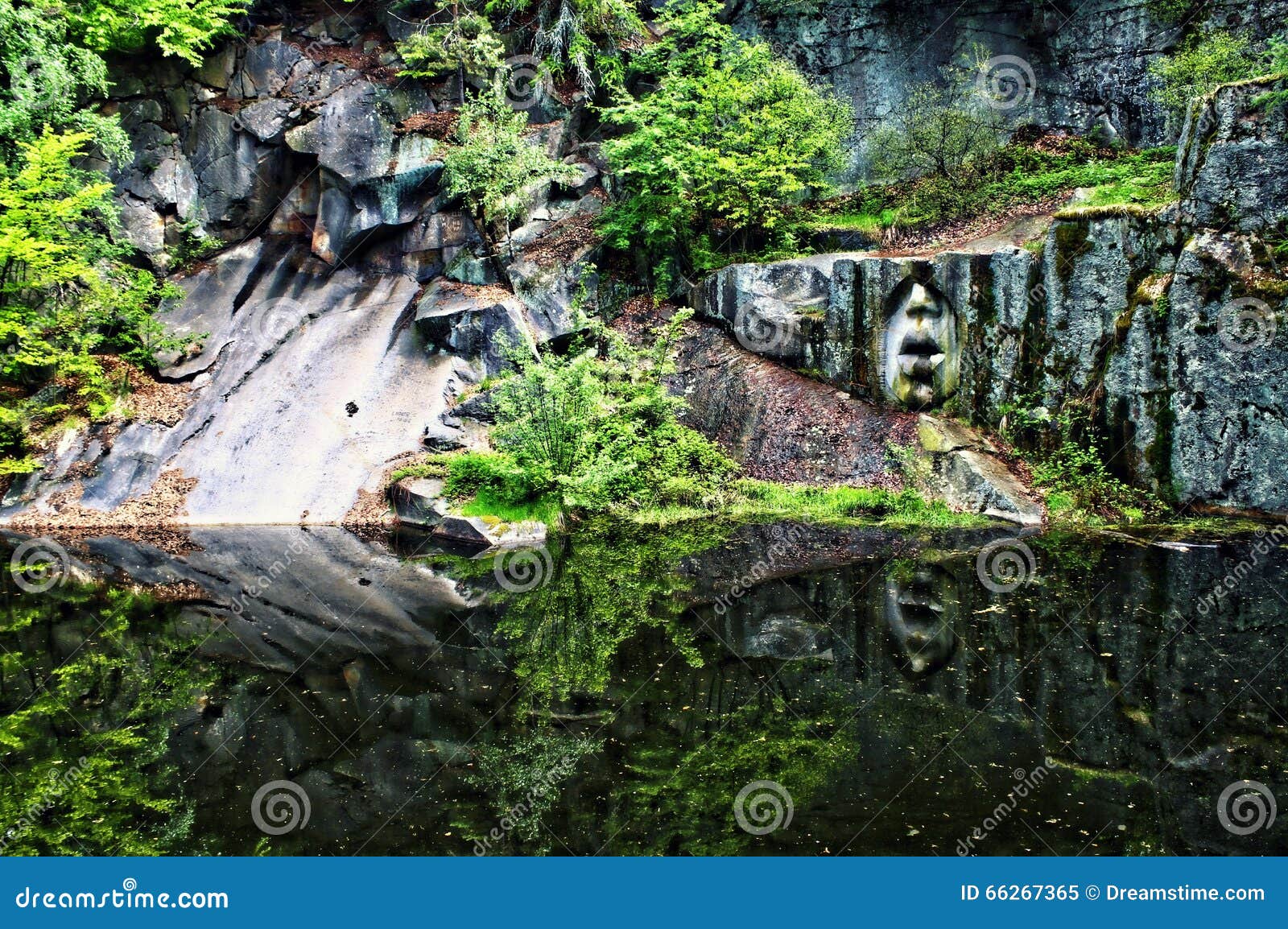 Mysterious face stock image. Image of grass, face, magic - 66267365