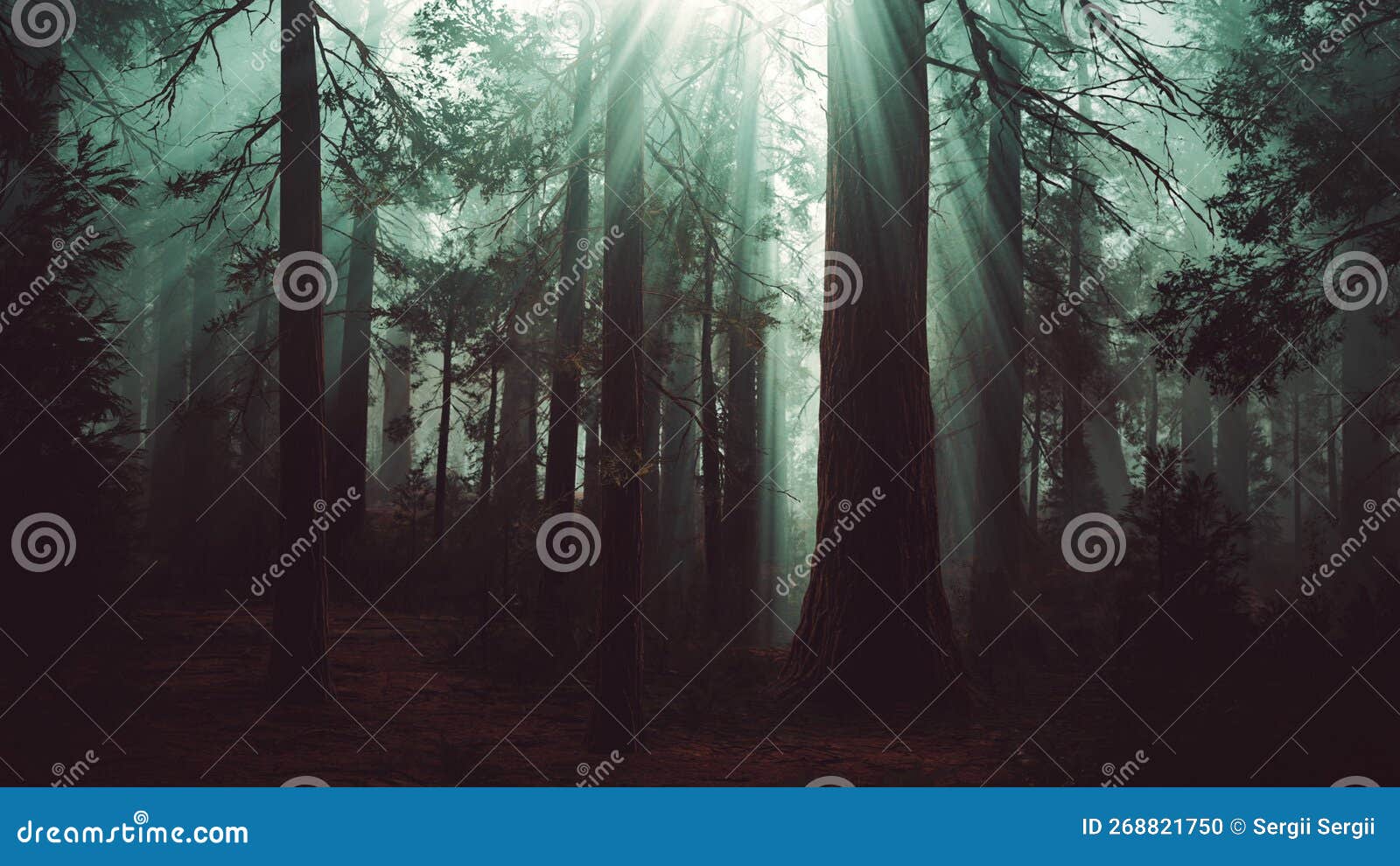 Mysterious Fairy Tale Deep Magic Forest Stock Photo - Image of nature ...