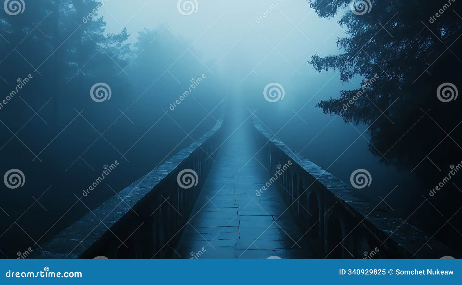 Mysterious Foggy Pathway in a Serene Forest Landscape Stock ...