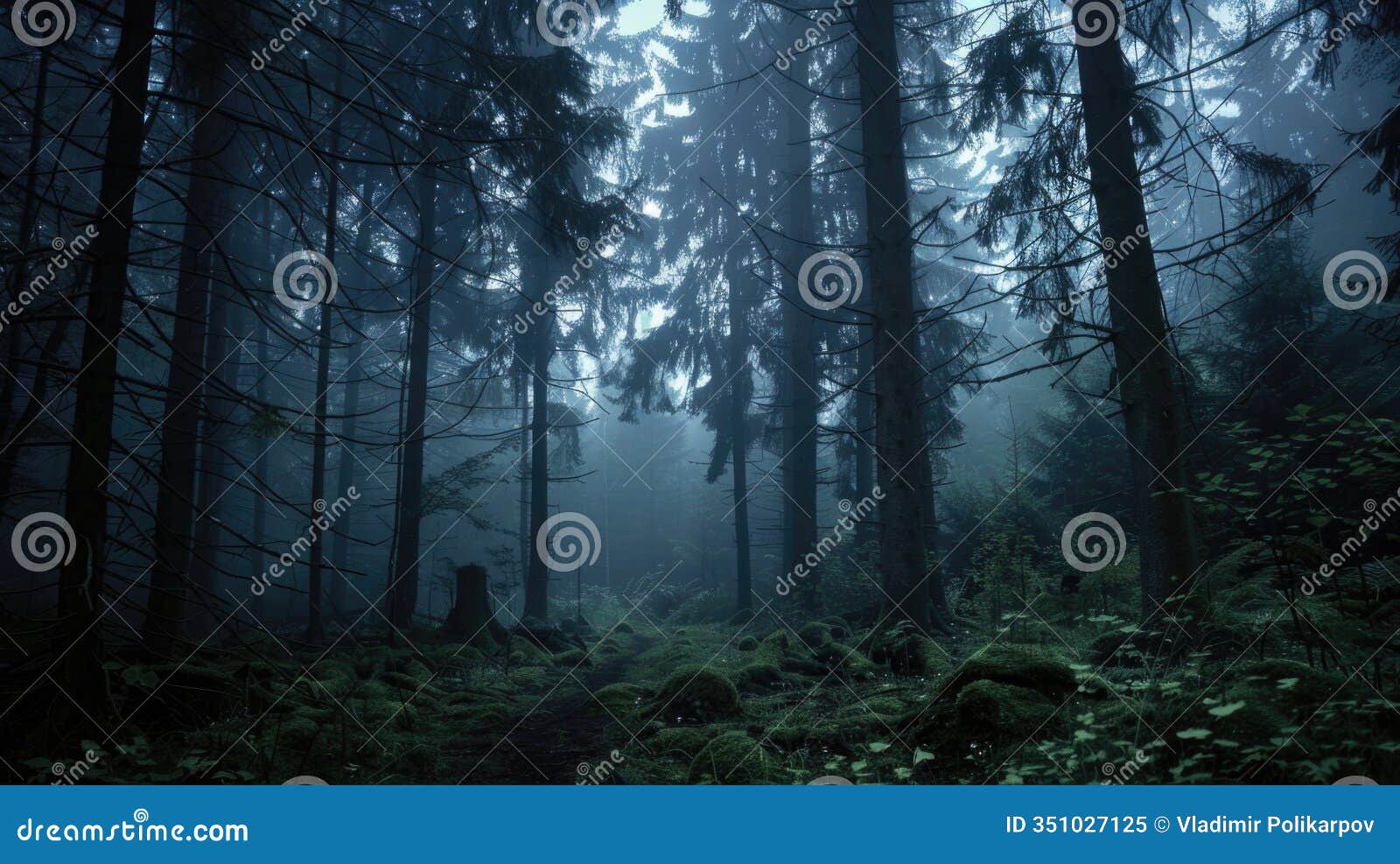 Mysterious Forest with Dense Trees, Perfect for Spooky or Nature-themed ...