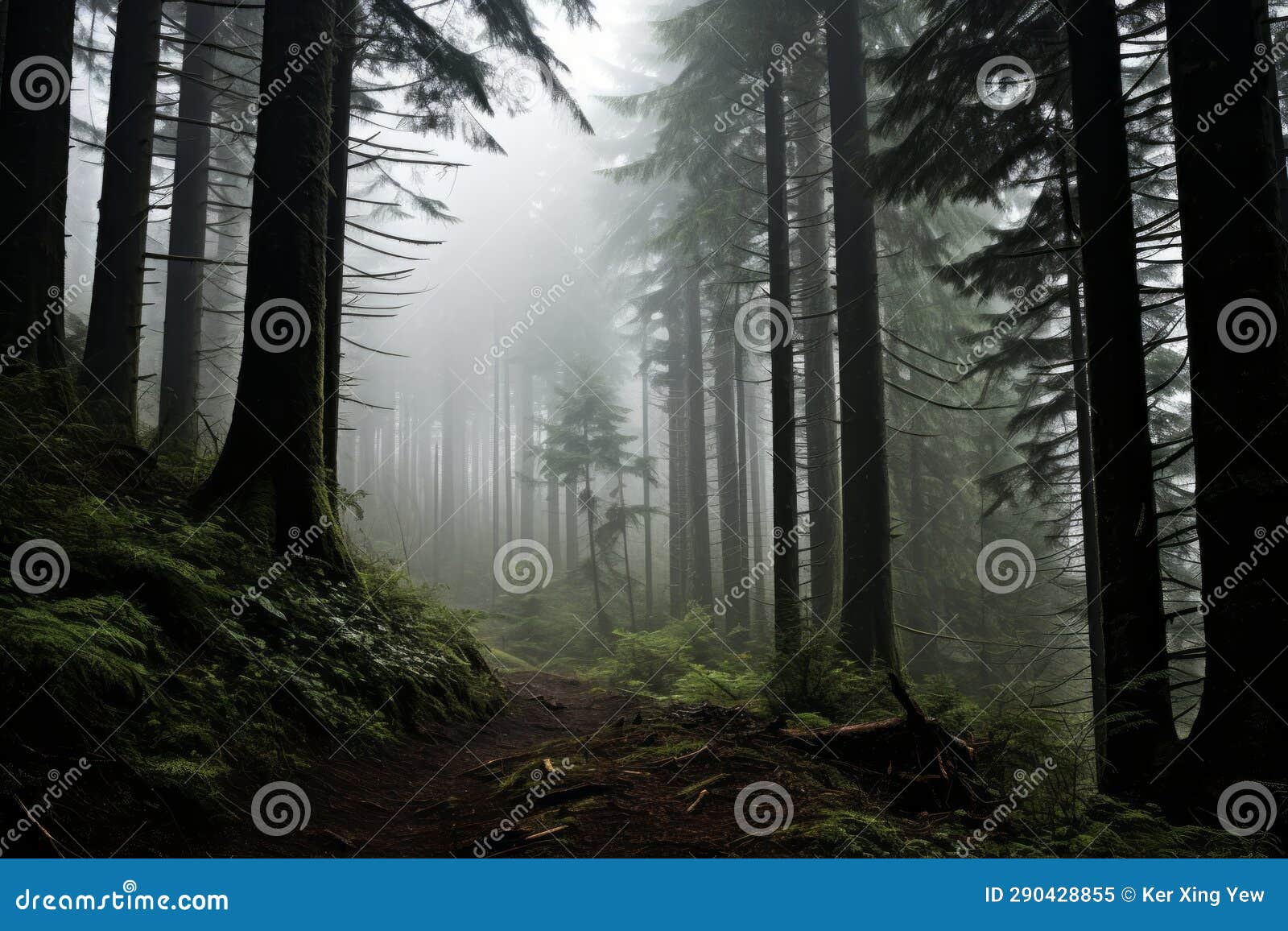 Mysterious Fog Settling Over A Hay Bale Maze At Dawn Stock Image ...