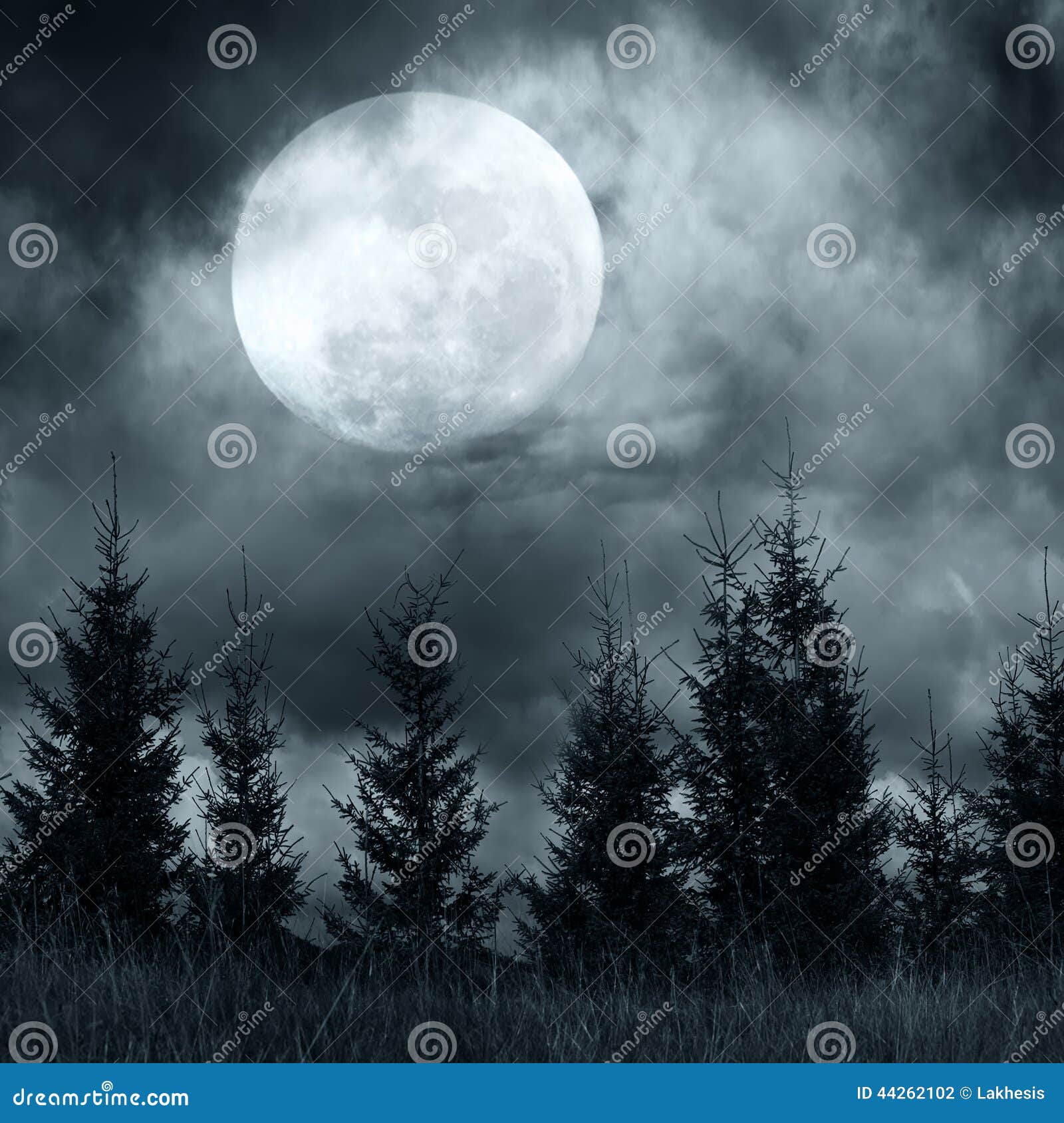 Full Moon Woods