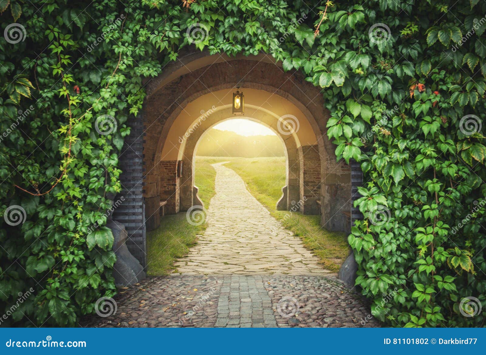Mysterious Gate Entrance In Dreams Royalty-Free Stock Photo ...
