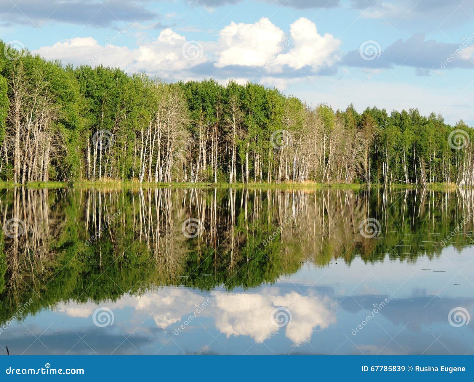 Mysterious lake stock image. Image of water, surface - 67785839