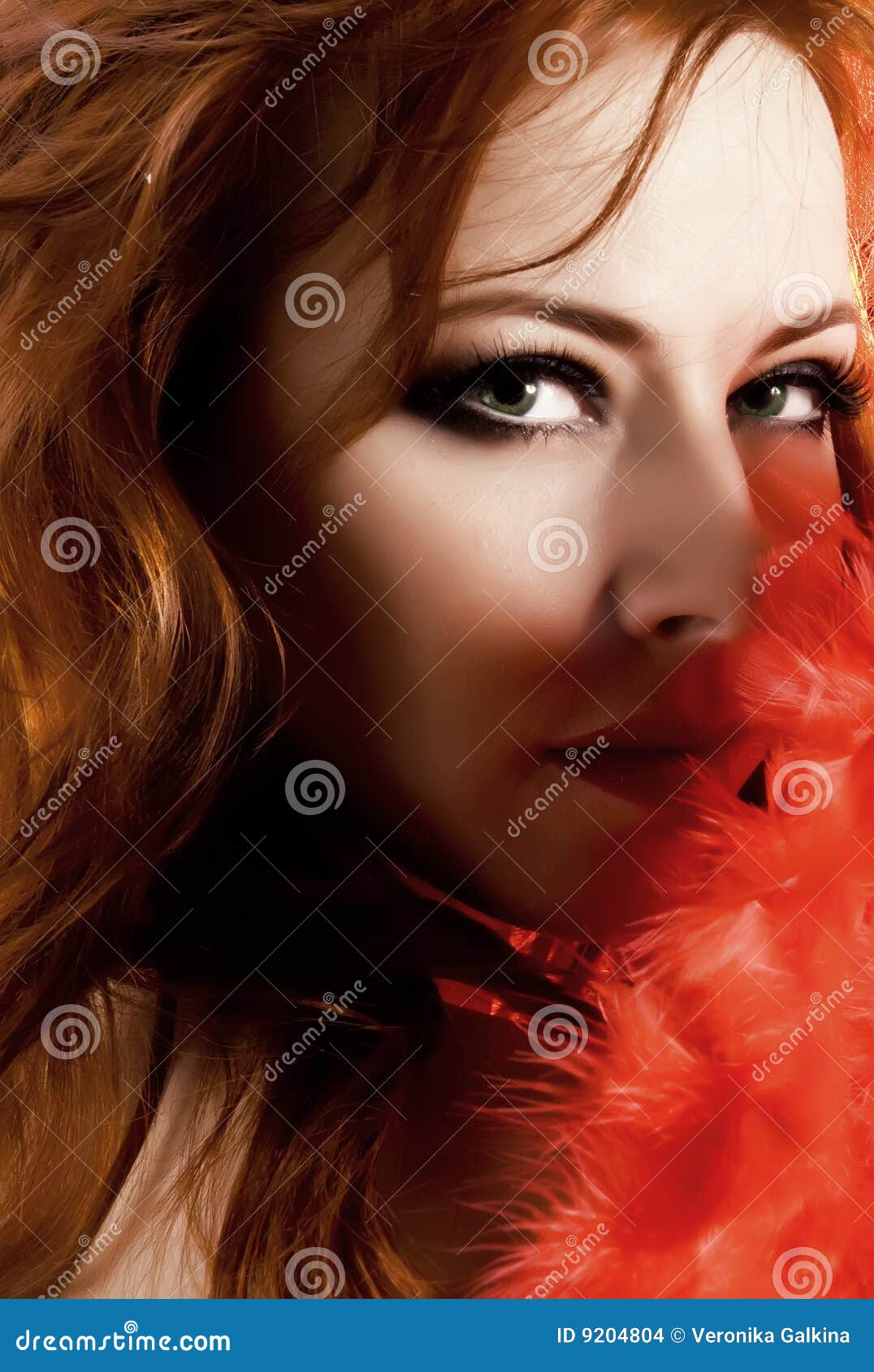 Mysterious look stock photo. Image of beauty, eaes, feather - 9204804