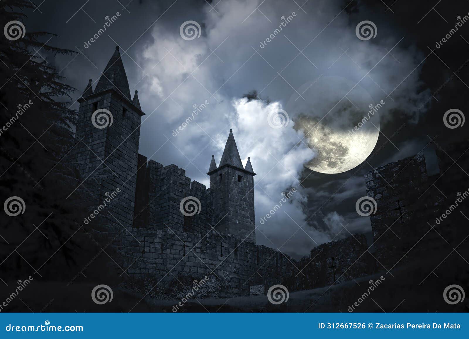 Mysterious Medieval Castle In A Misty Full Moon. Abandoned Gothic Style ...