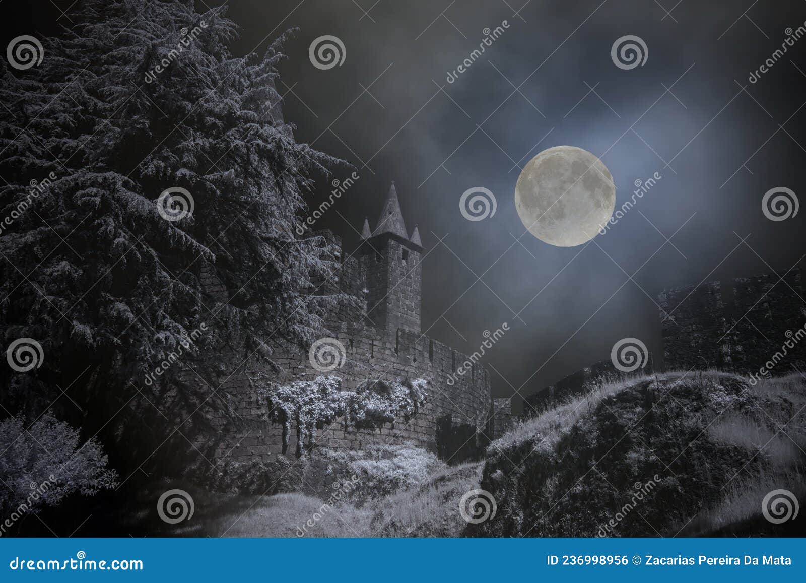 Mysterious Medieval Castle In A Misty Full Moon. Abandoned Gothic Style ...