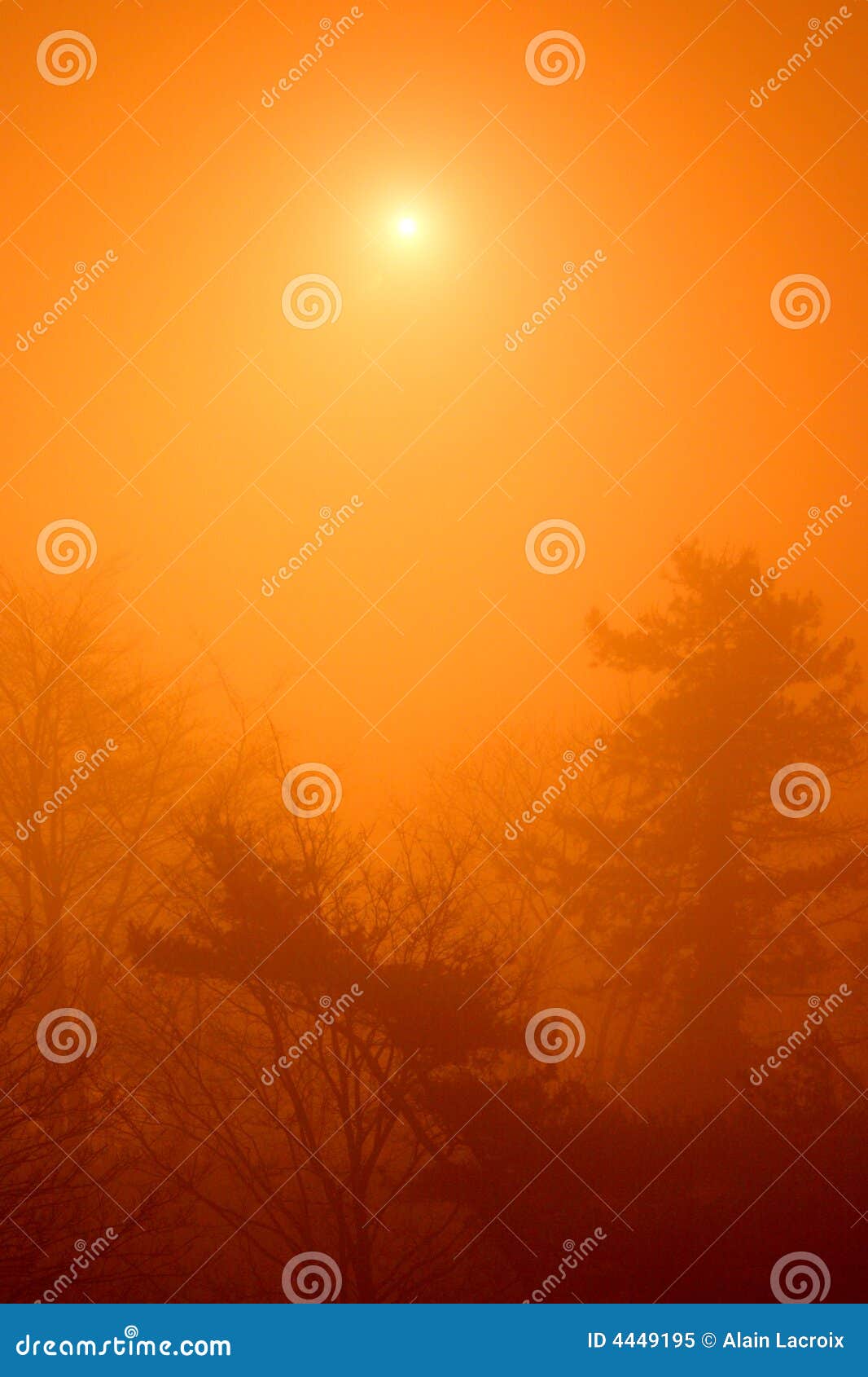 Mysterious mist stock image. Image of dramatic, droplets - 4449195