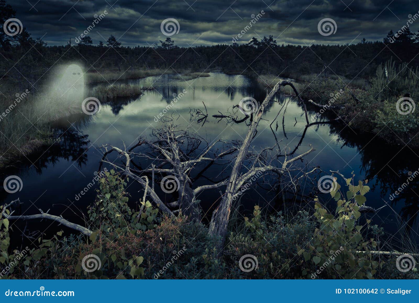 Mysterious Night Forest and Ghost Stock Photo - Image of panorama, moor ...