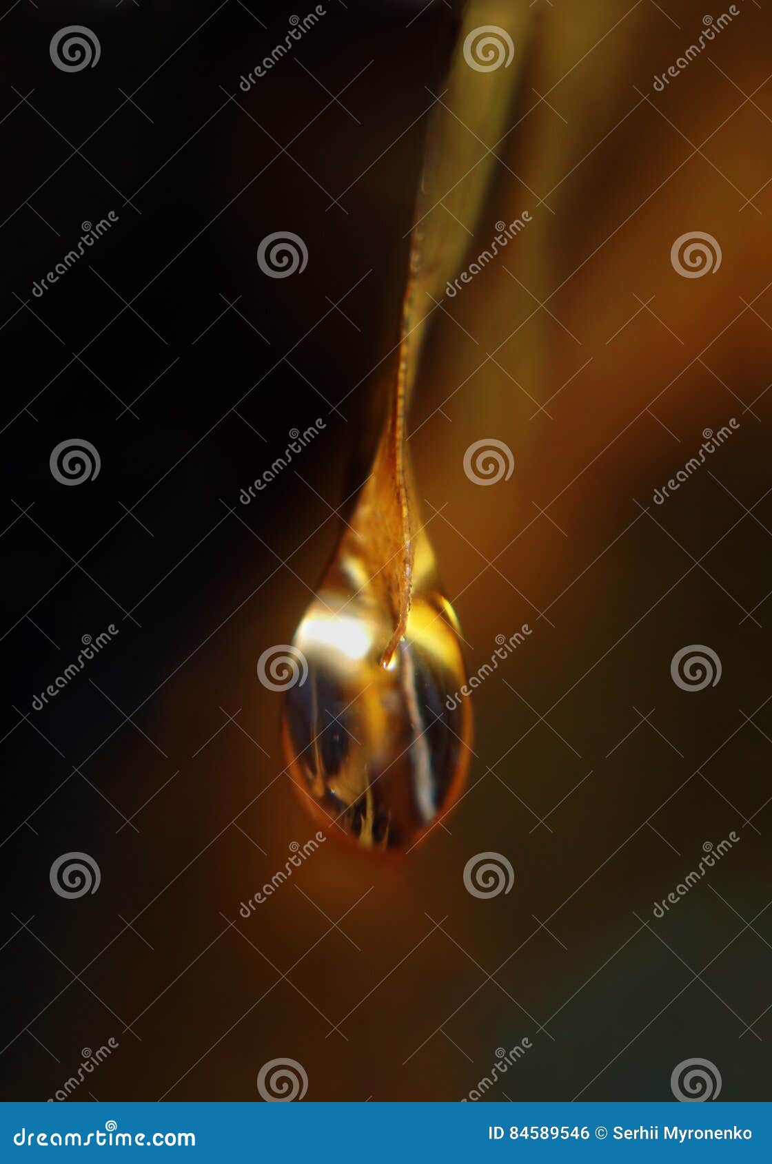Mysterious Orange Drop Like Amber in Dark Stock Photo - Image of water ...