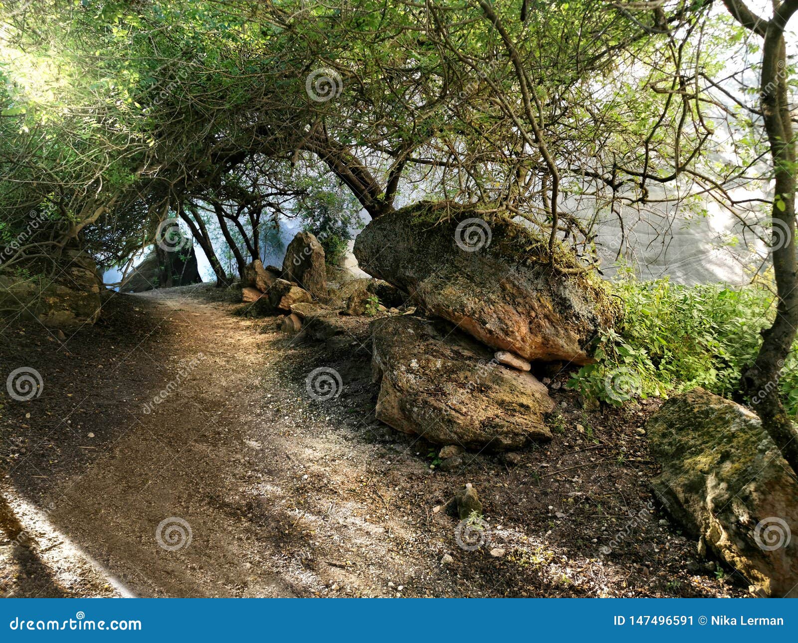 Mysterious Footpath in the Ancient Place Stock Image - Image of path ...