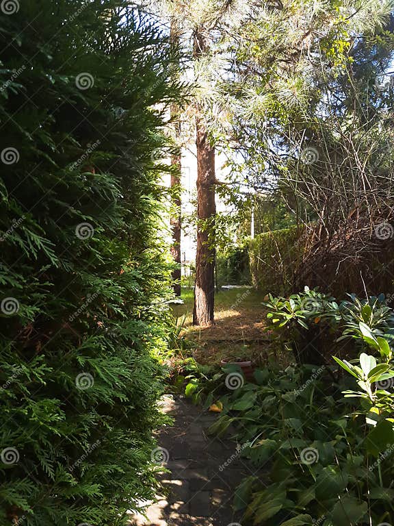 Mysterious Path among the Greenery in Front of the House in the Warm ...