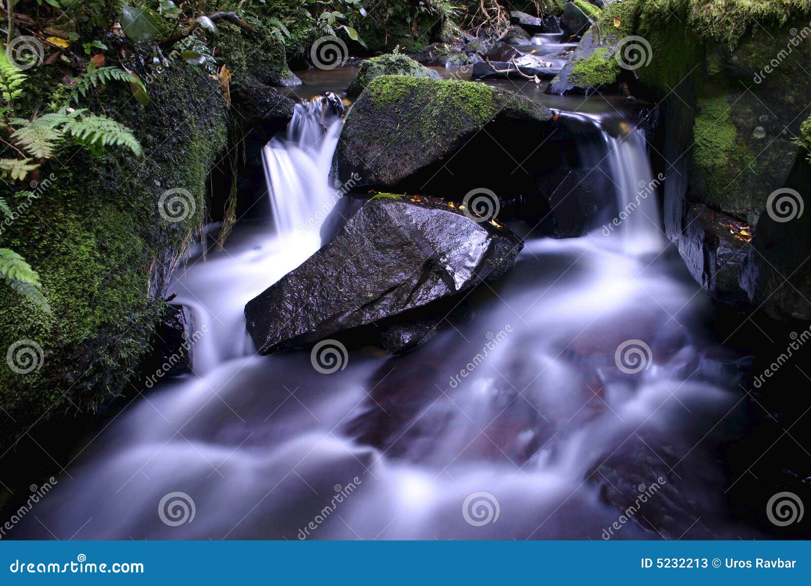 337 Mysterious Purple River Stock Photos - Free & Royalty-Free Stock ...
