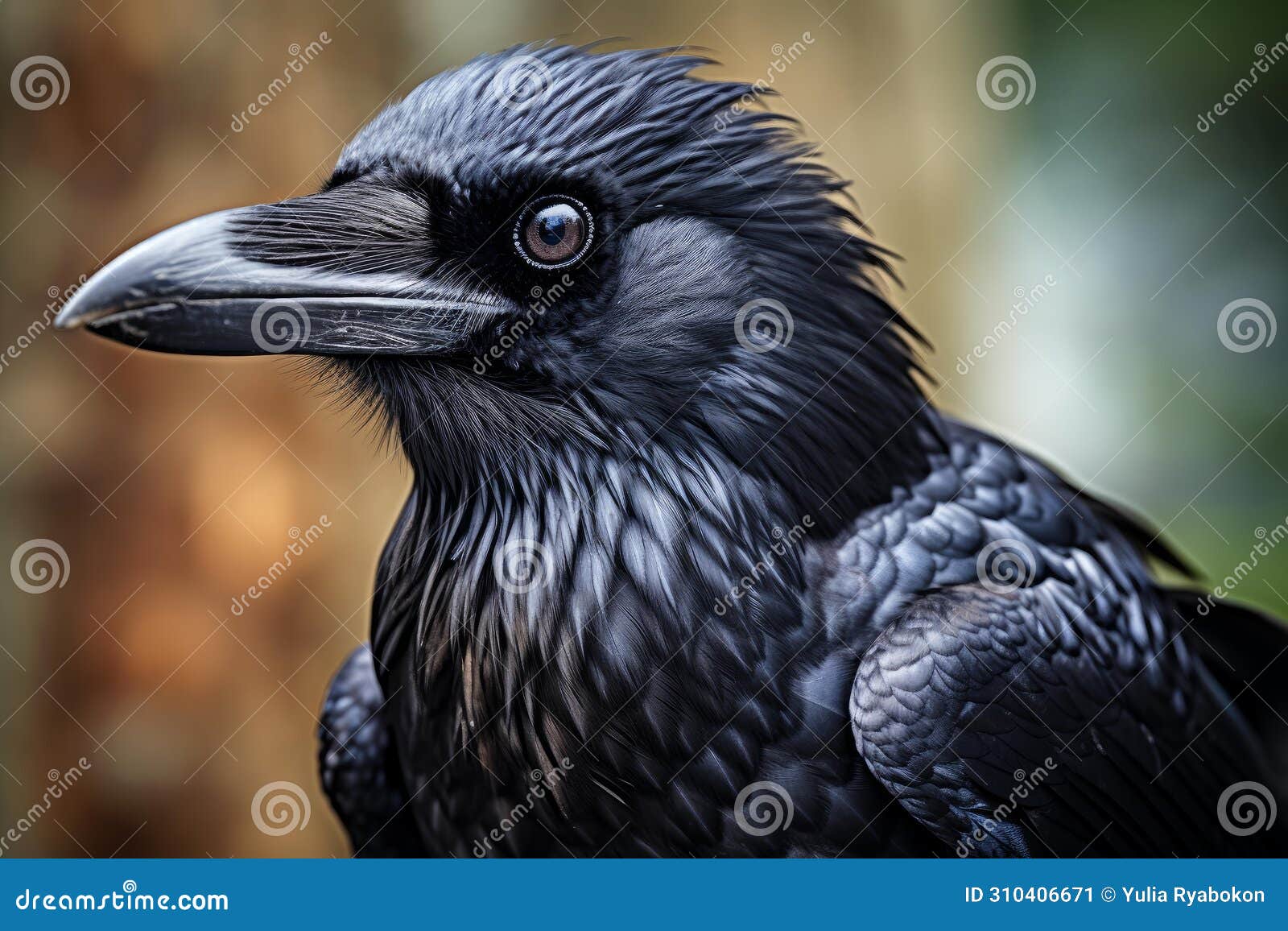 Mysterious Raven Bird Fly. Generate Ai Stock Illustration ...