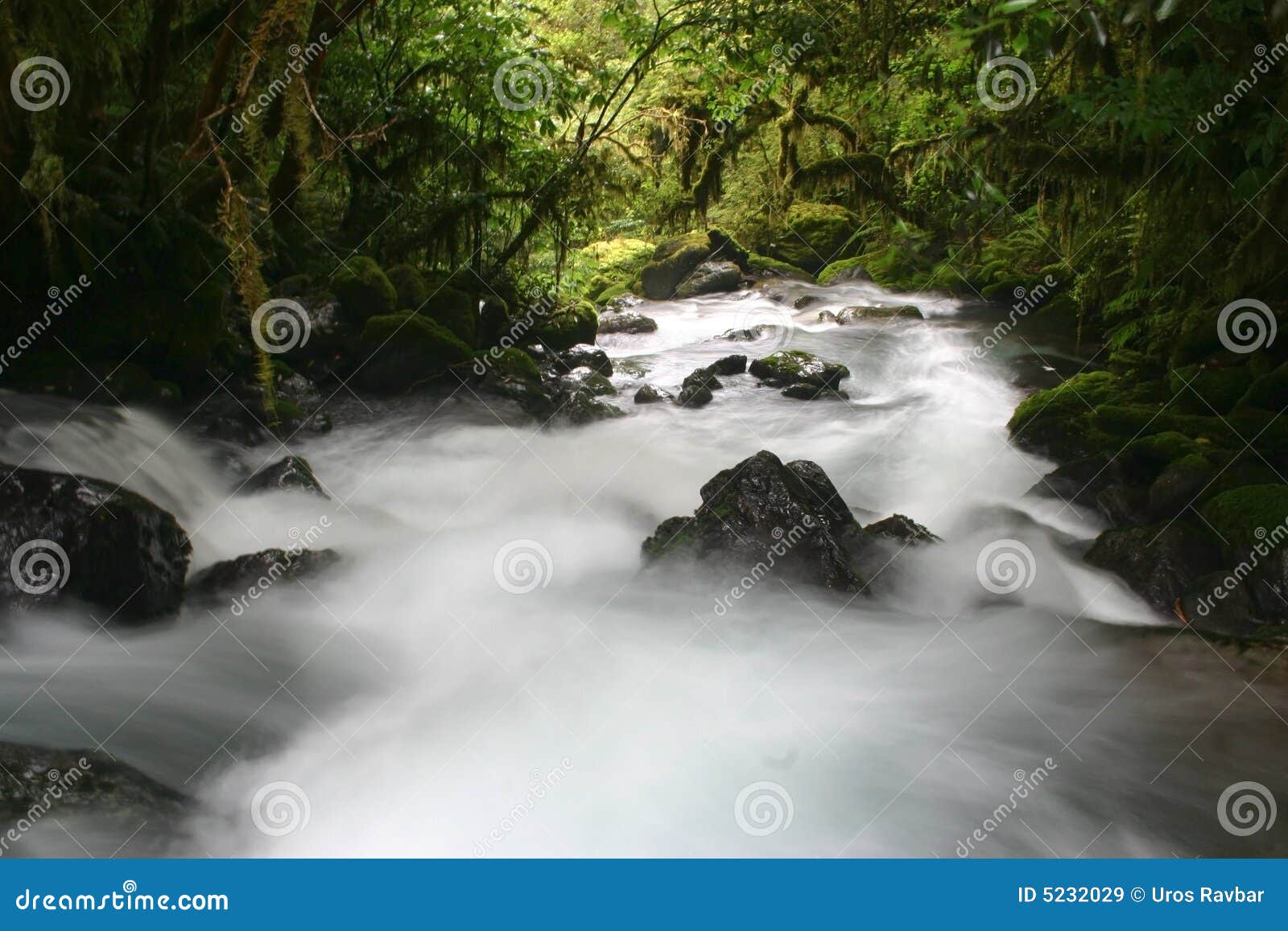Mysterious river stock image. Image of exposure, river - 5232029