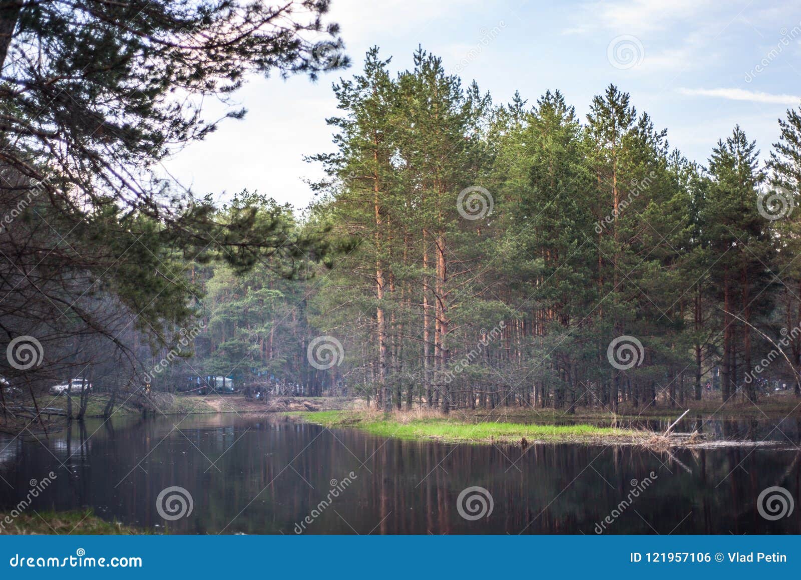 Mysterious river in forest stock photo. Image of lake - 121957106
