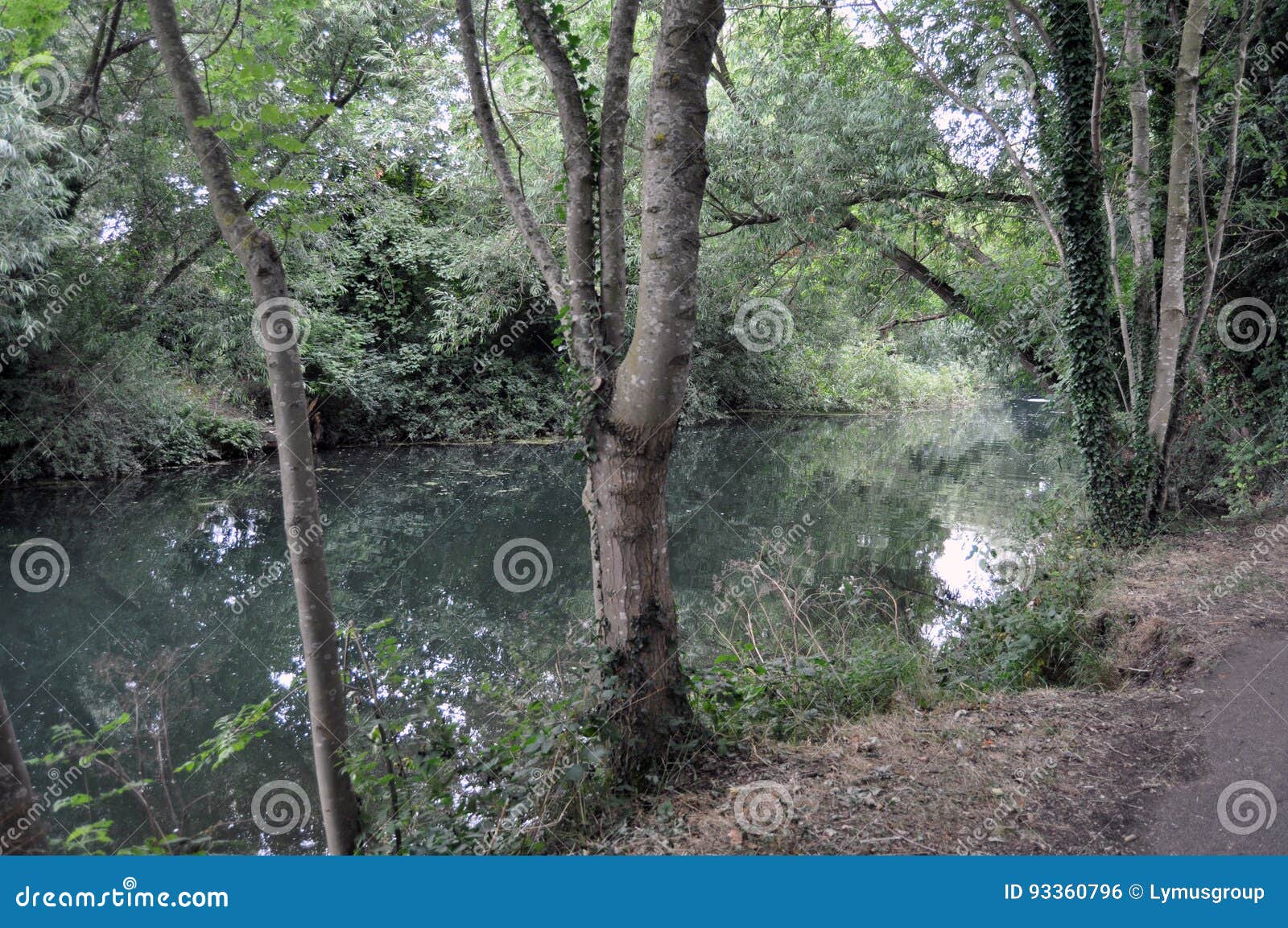 Mysterious River in the Forest. Stock Photo - Image of walkway, bank ...