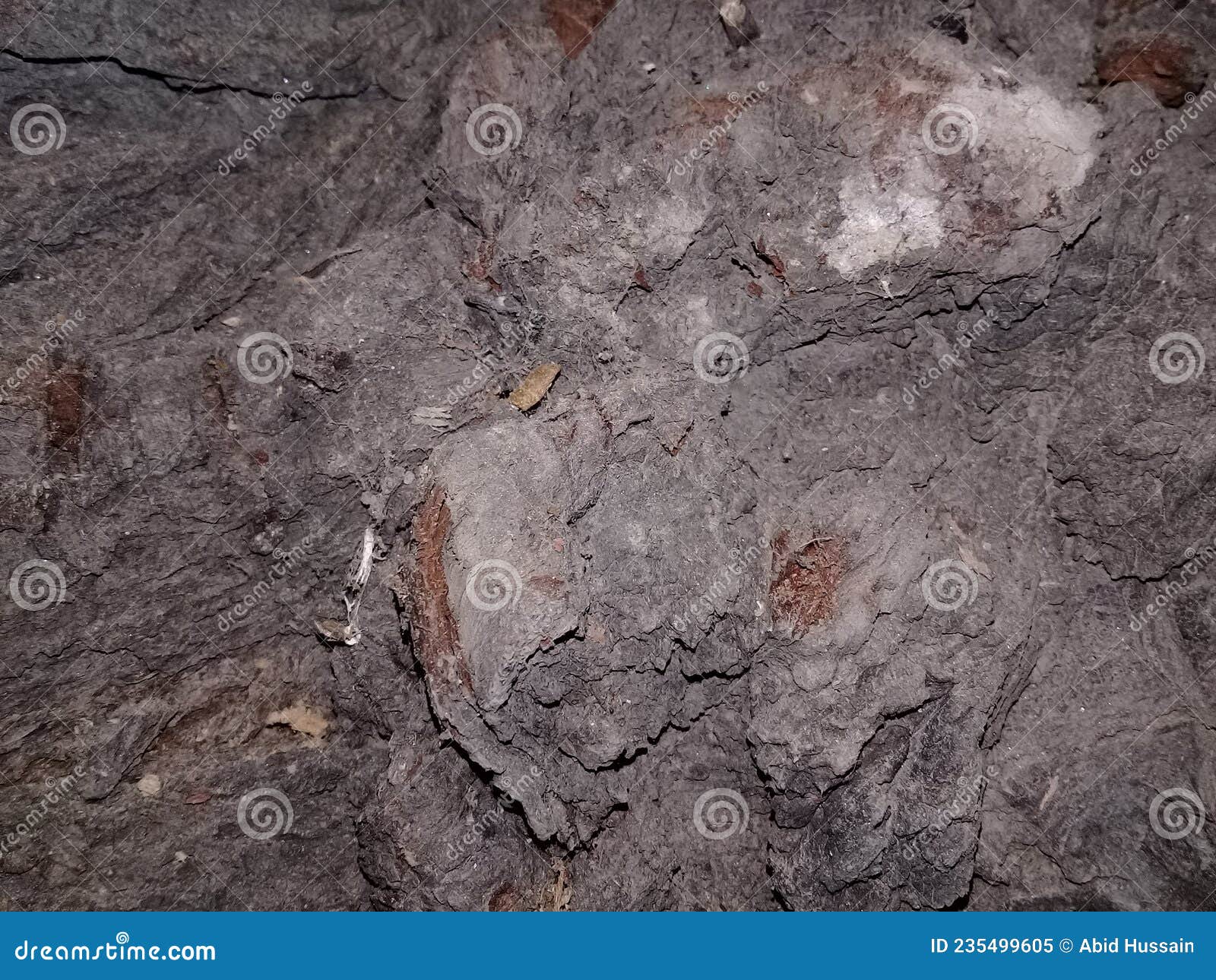 Mysterious Scene Create Wood Texture Background Design Image Stock ...