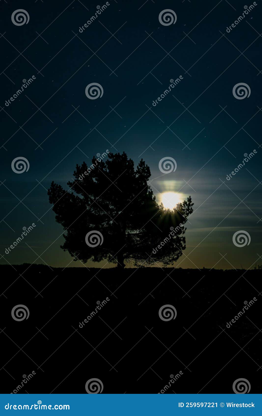Mysterious Silhouette of a Tree in the Field at Dusk with Dramatic ...