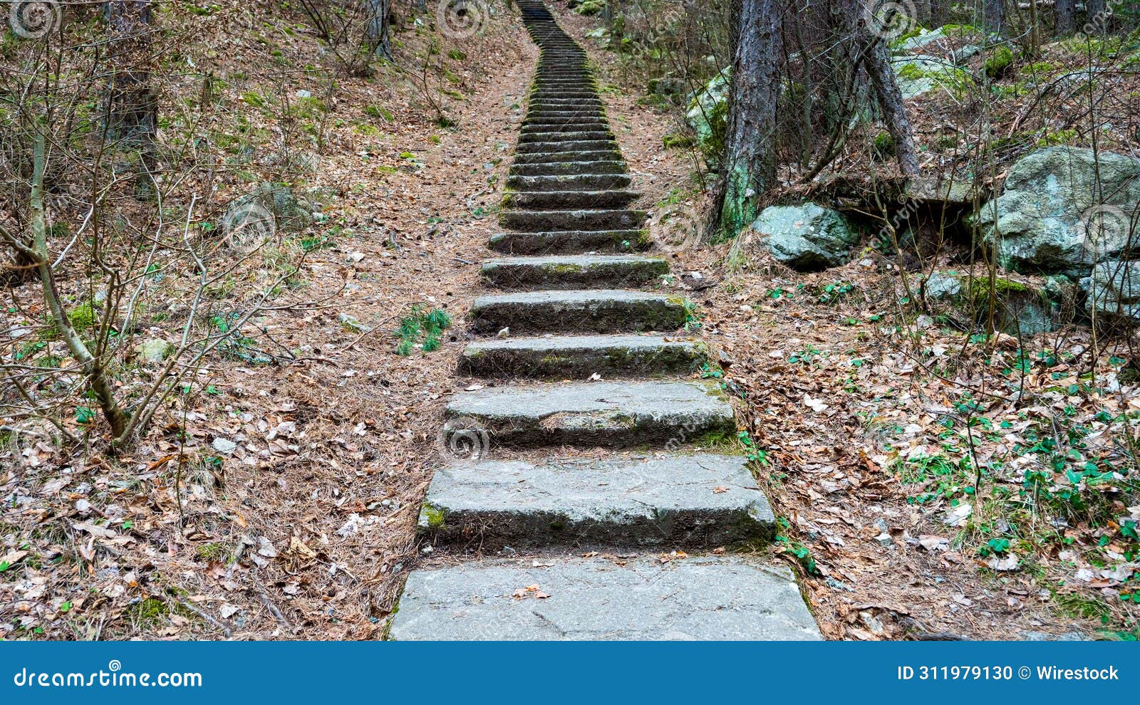 Mysterious Stone Stairs in the Forest. Stock Photo - Image of winding ...