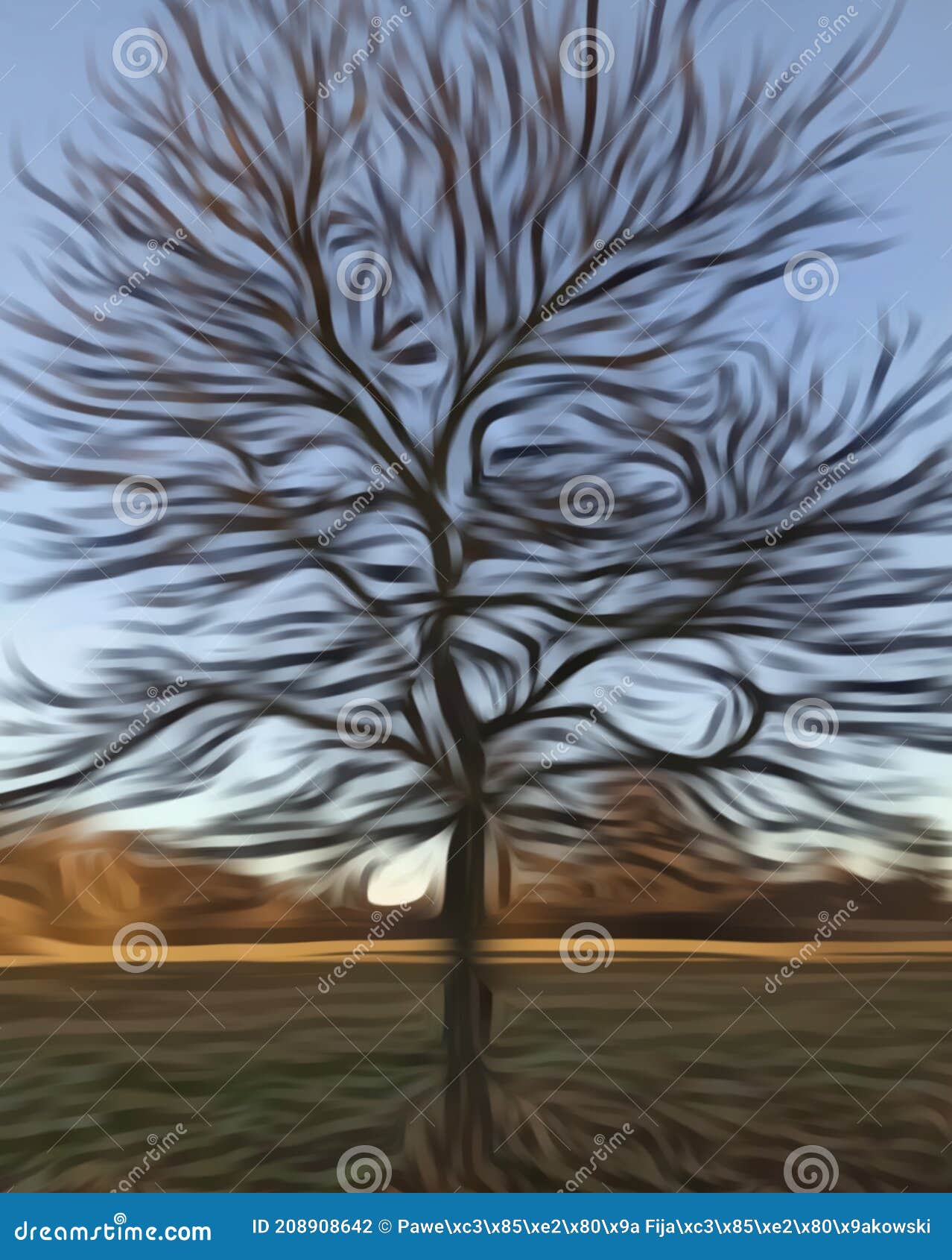 Mysterious Tree In A Clearing On A Sunset Background Royalty-Free ...