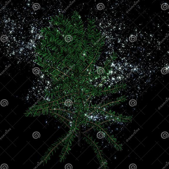 Mysterious Tree Like a Pine Tree Stock Illustration - Illustration of ...