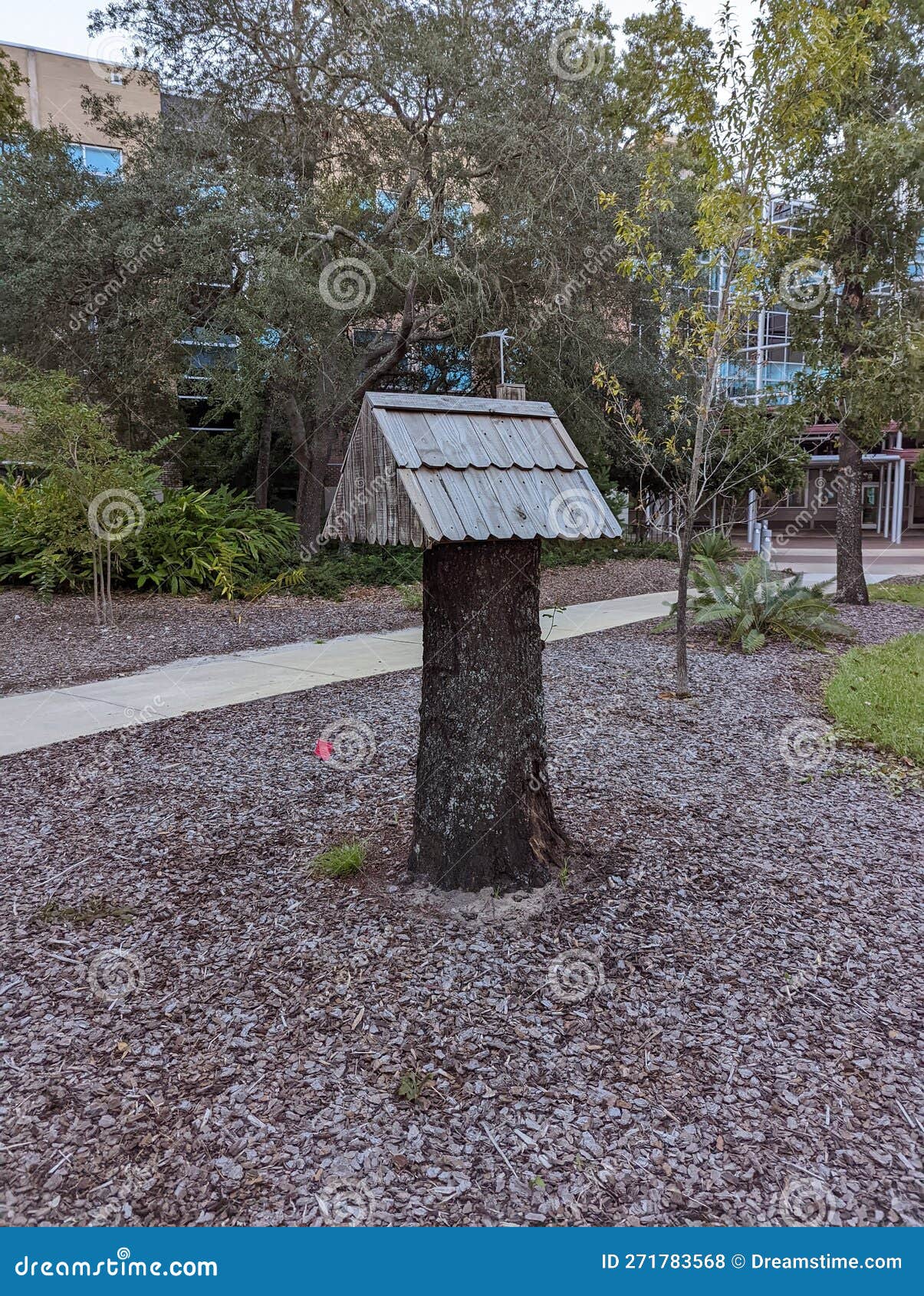 Mysterious Tree Stump with Roof Stock Photo - Image of plant, park ...