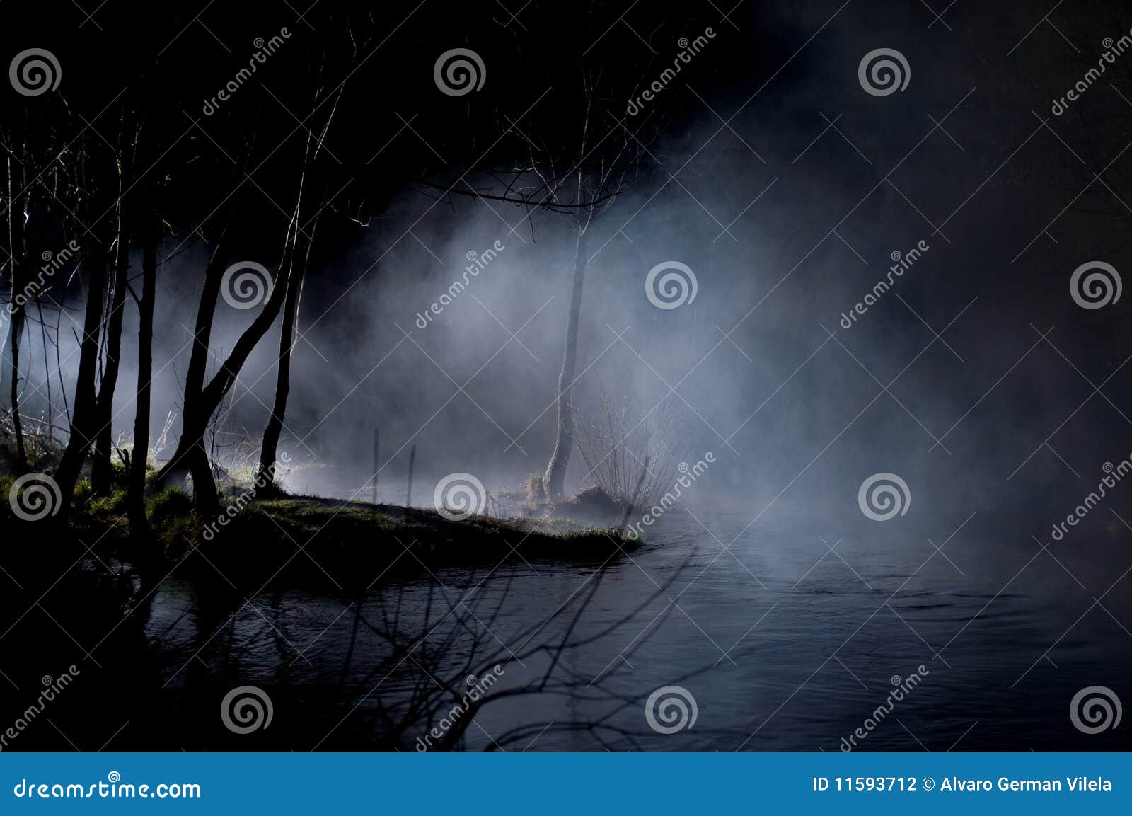 Haunted Forest. Horror Movie Backgrounds High Detailed Plain Background ...