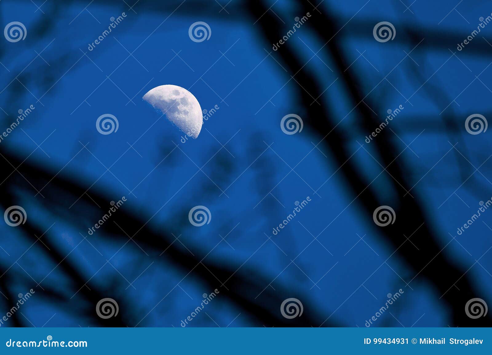 View of Half Moon Disk on the Night Sky through the Branches of Stock ...