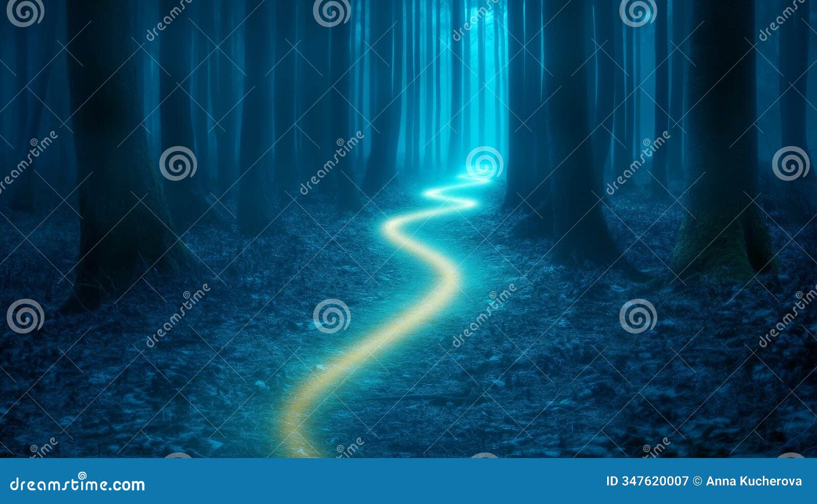 Mysterious Winding Path Illuminated in a Dark Forest Stock Illustration ...
