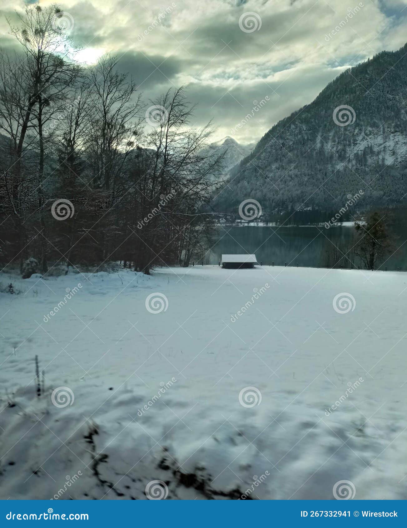 Mysterious Winter Landscape in the Mountains with Deep Snow Covered ...